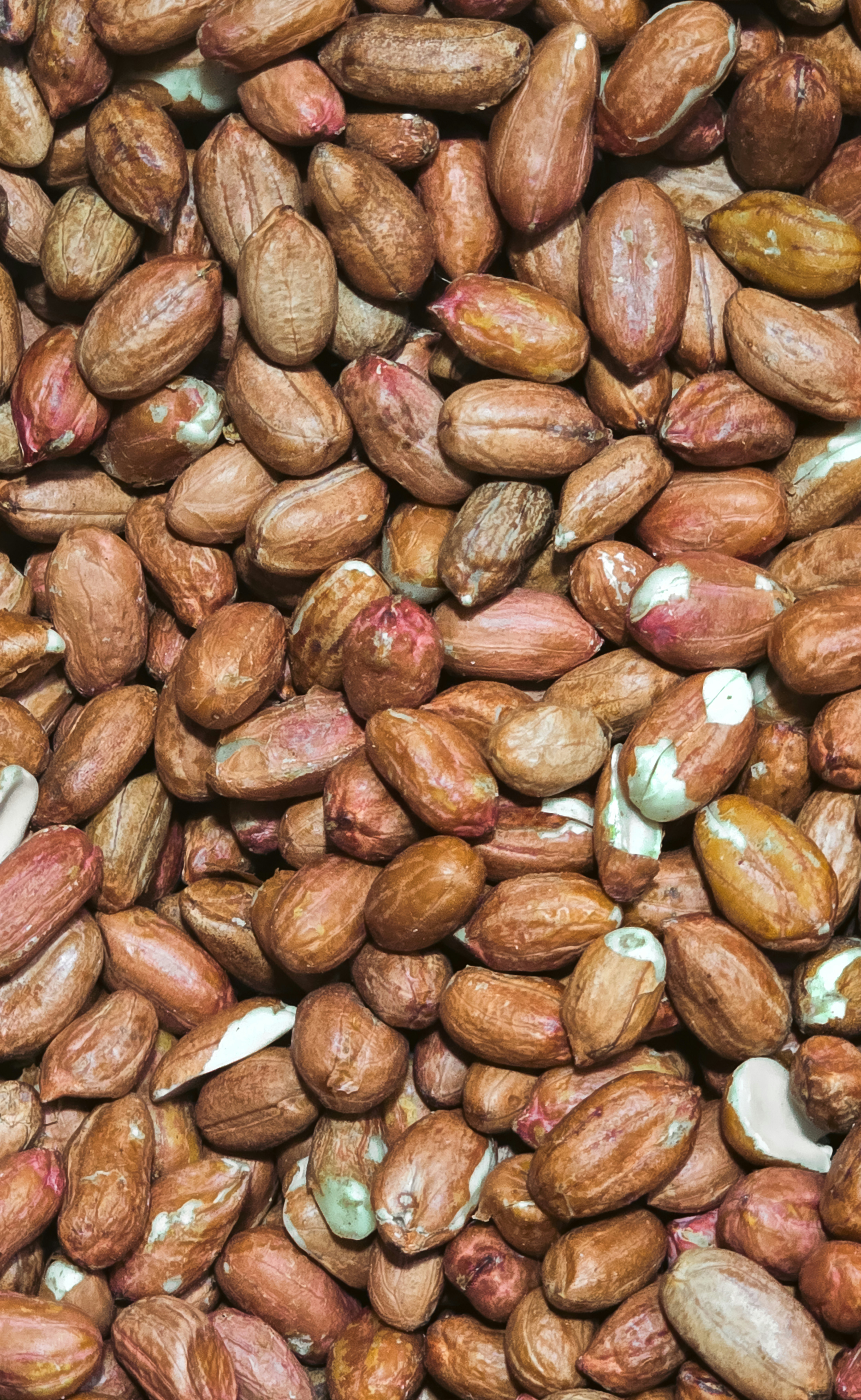 Golden Harvest: Close-Up of Shelled Peanuts in a Tangle of Brown Skins