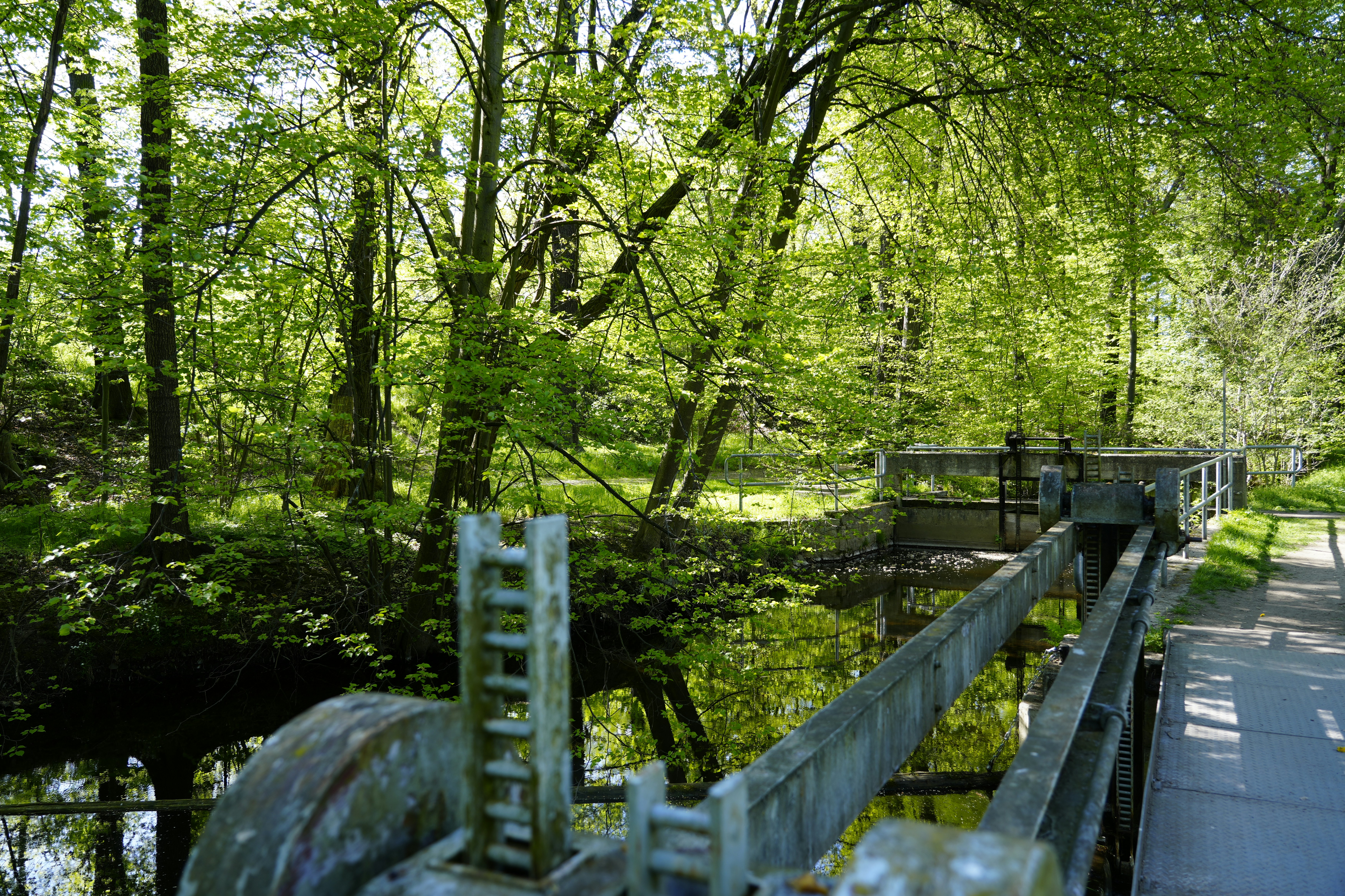 Brookside Bridge: Quiet Morning Over the Glassy Channel