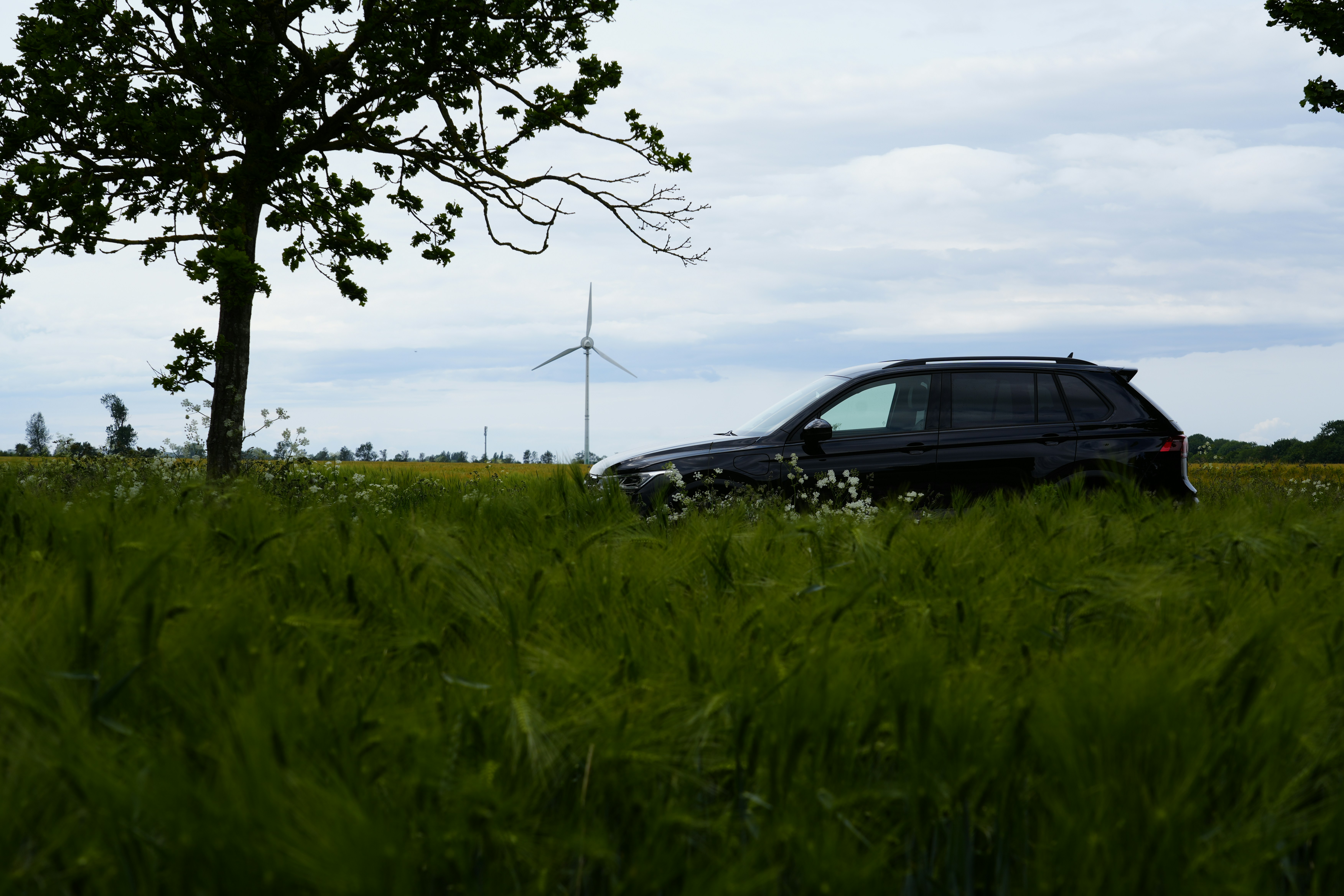 Midfield Encounter: A Wind-Swept Drive Past a Quiet Wind Farm