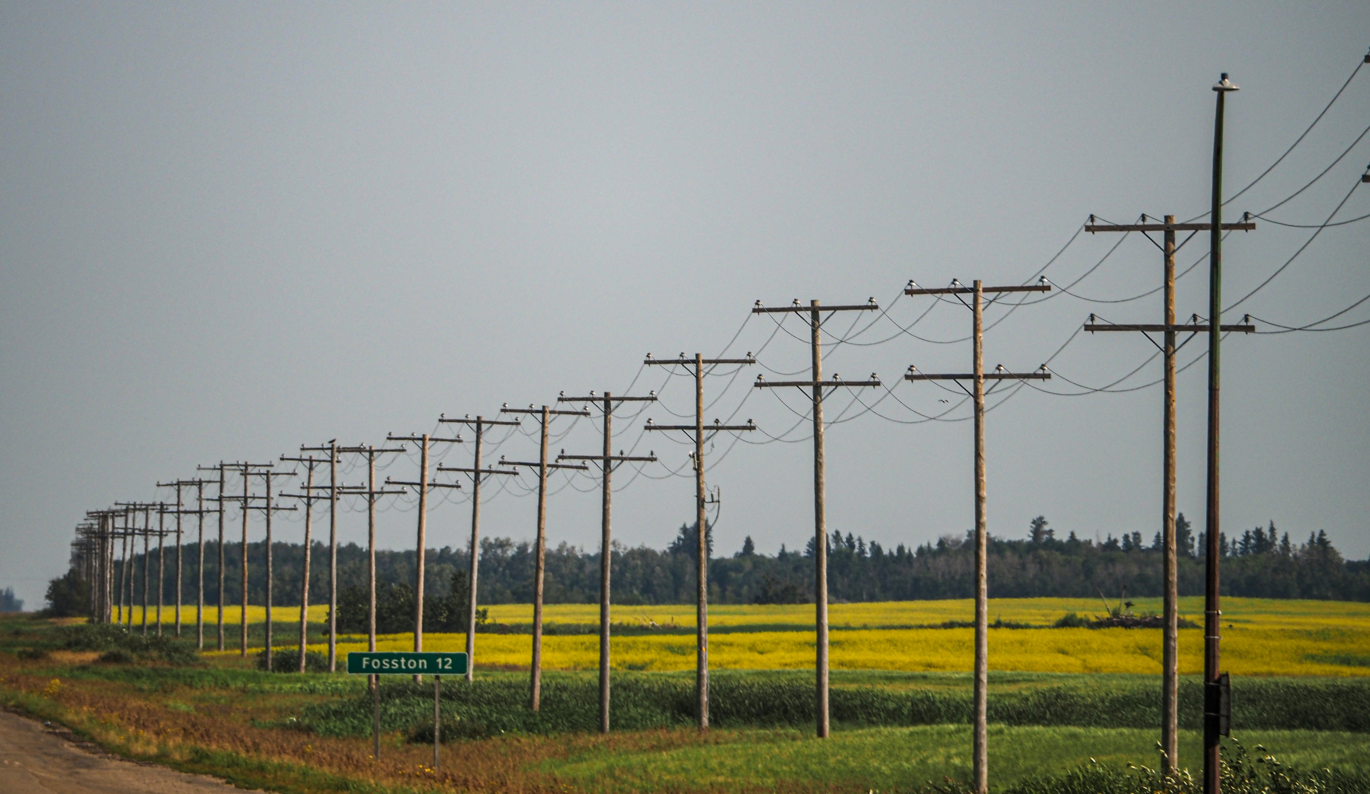 Rows of Crossed Wires marching through a Golden Field