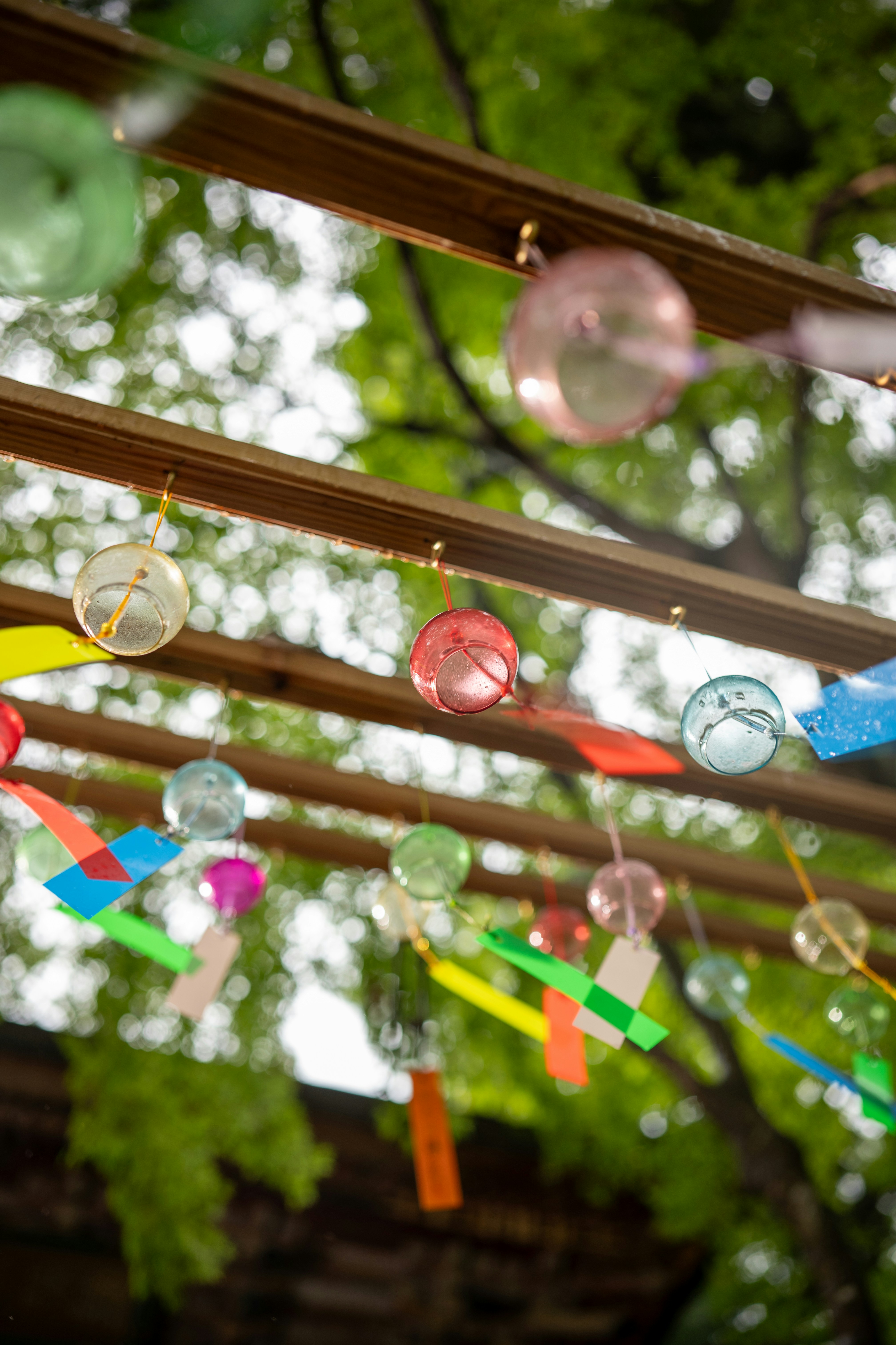 Glass Orbs and Color Rails: A Tapestry of Hanging Festoon Lights