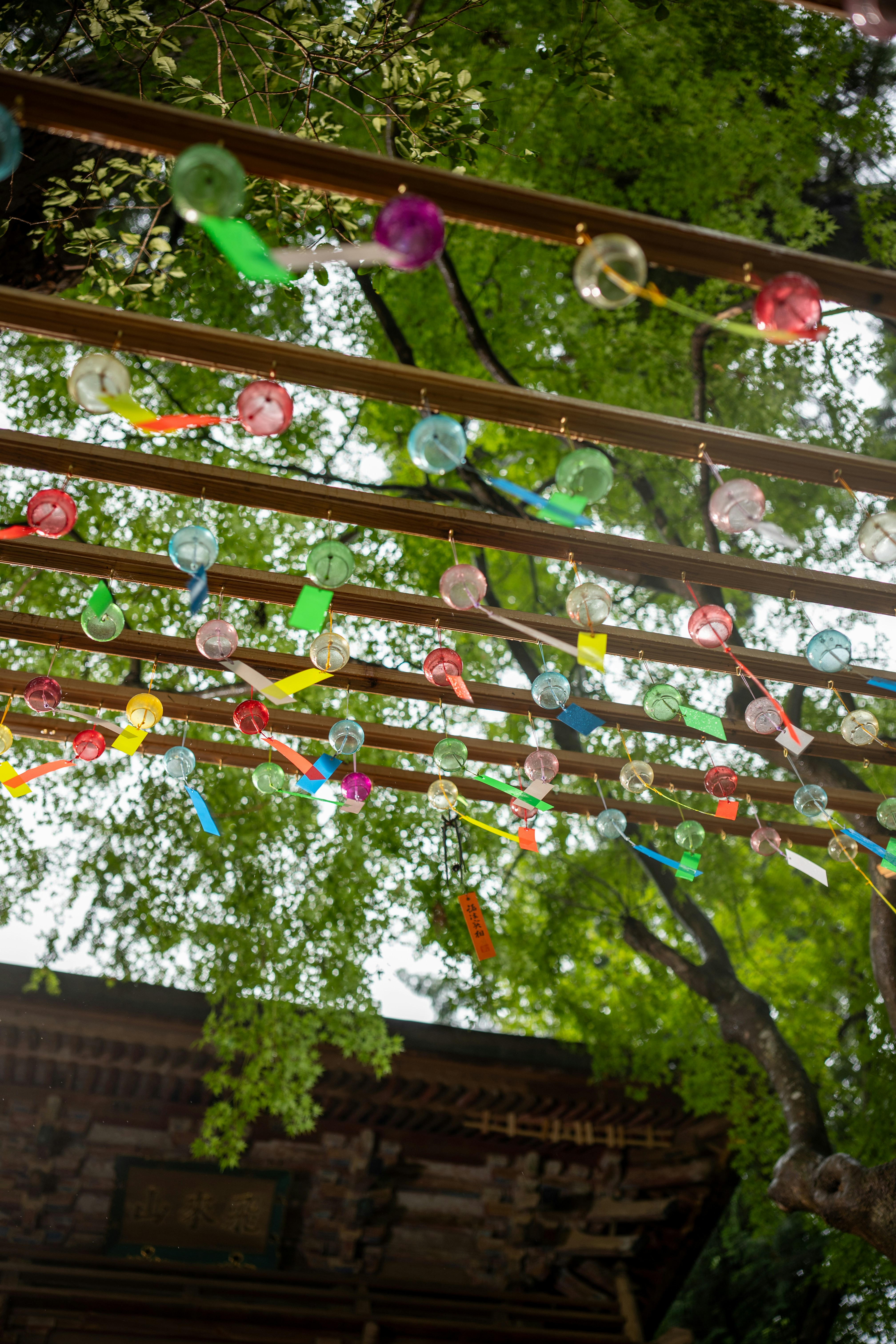 Colorful Orbs in the Canopy: A Luncheon of Glass Lights