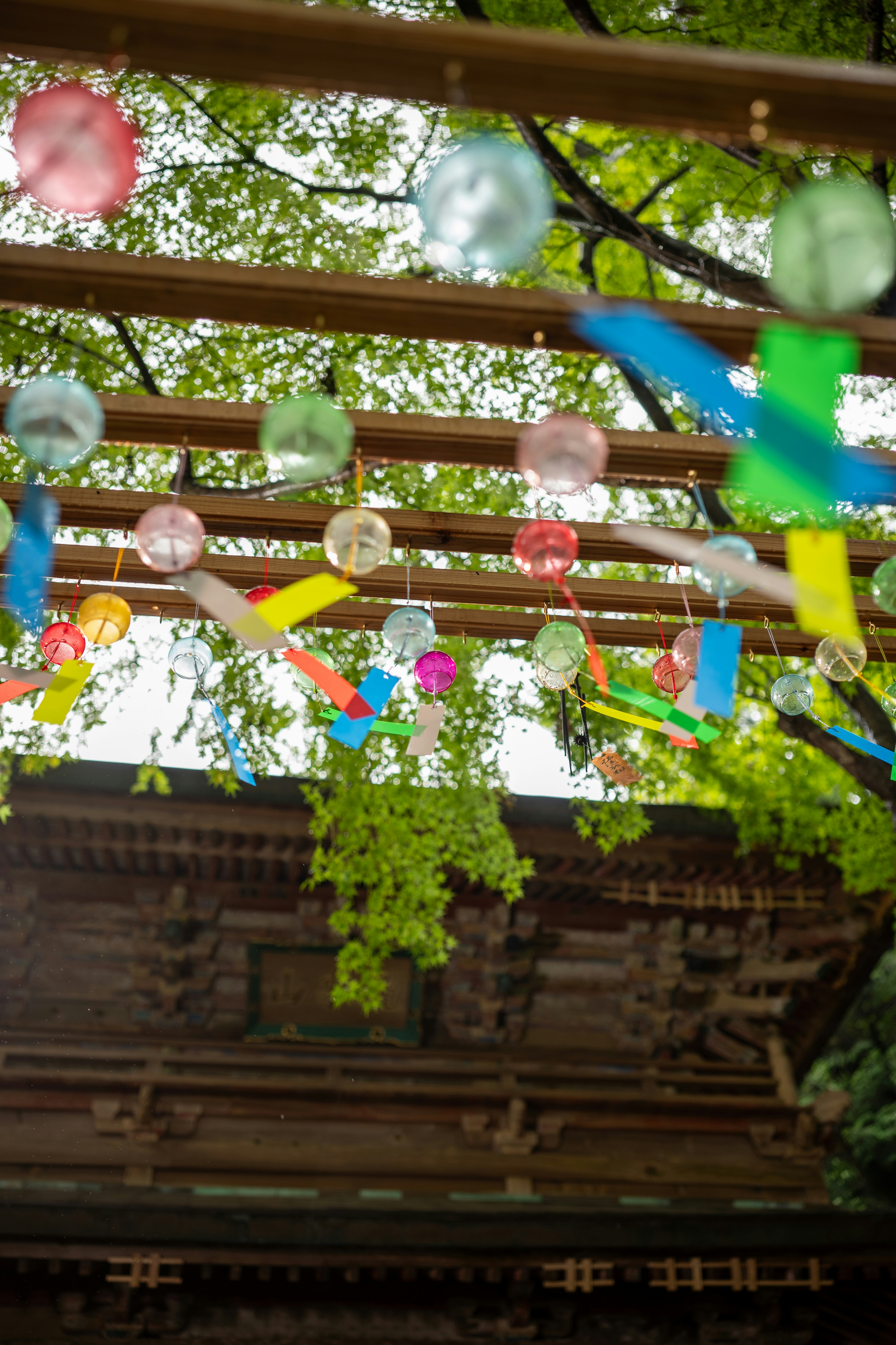 Colorful lanterns under wooden pergola stretch into a quiet courtyard