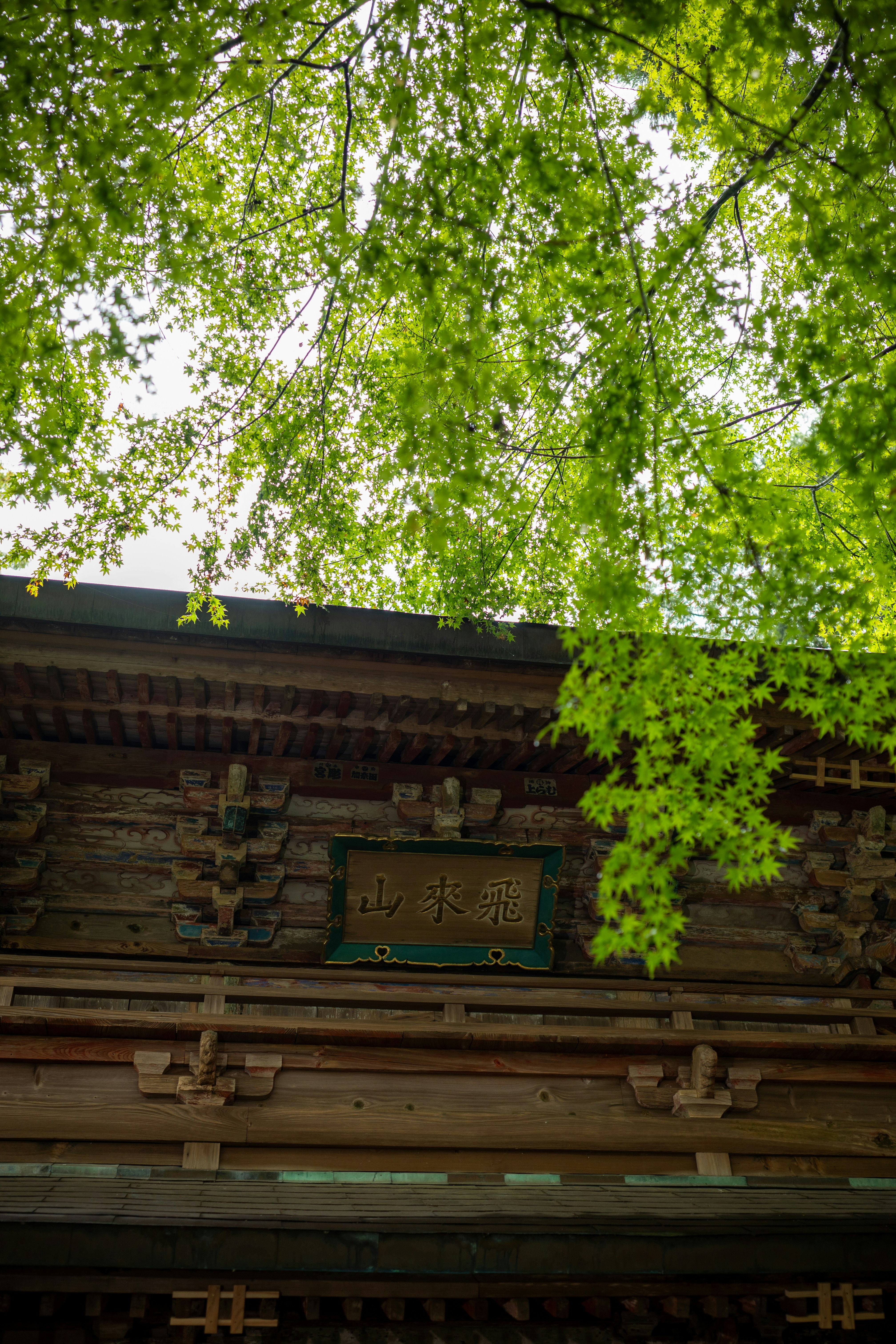 Lanterned Facade Beneath Spring Green Canopy