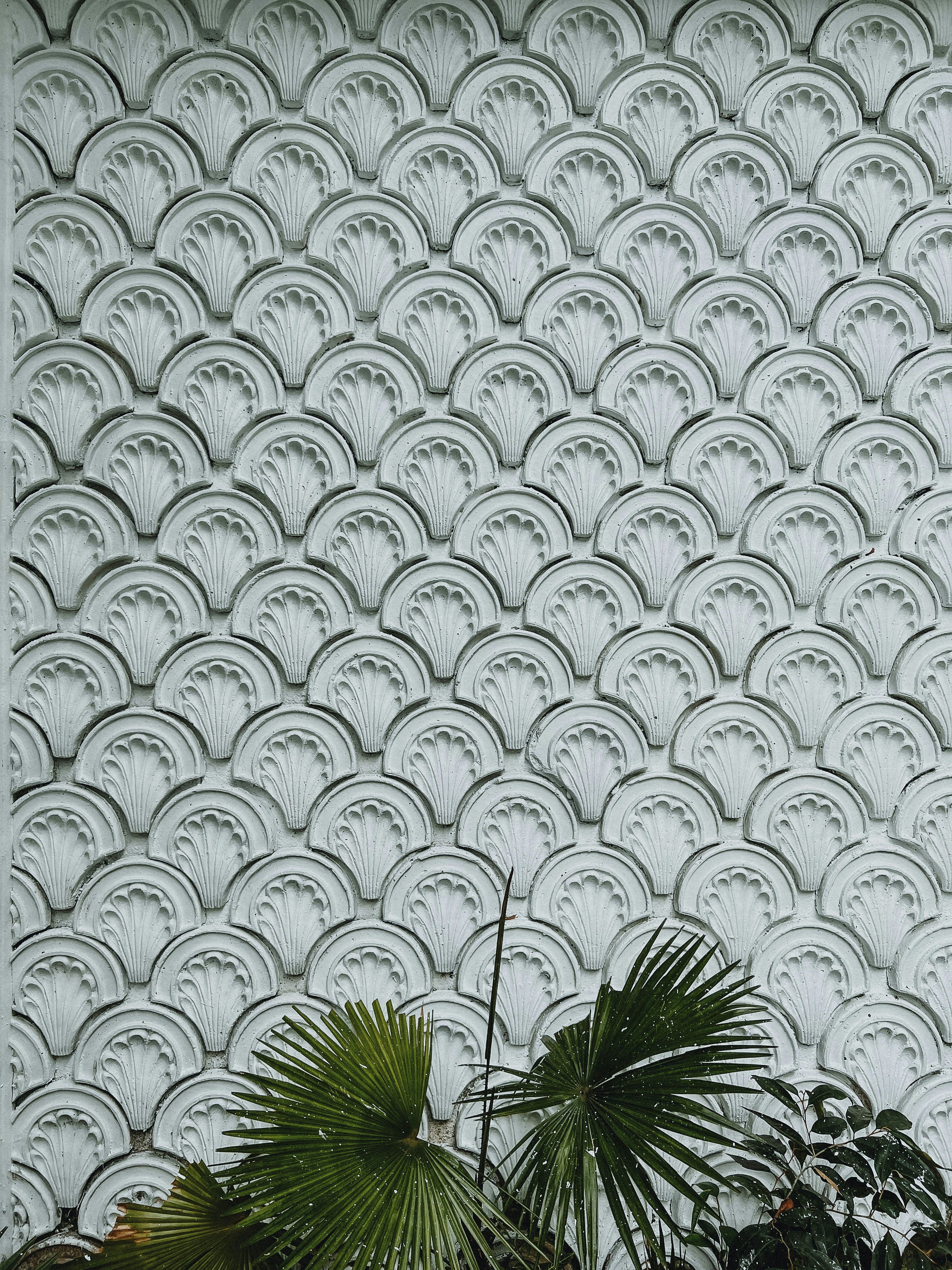Leaves at the Base of a Repeating Facade