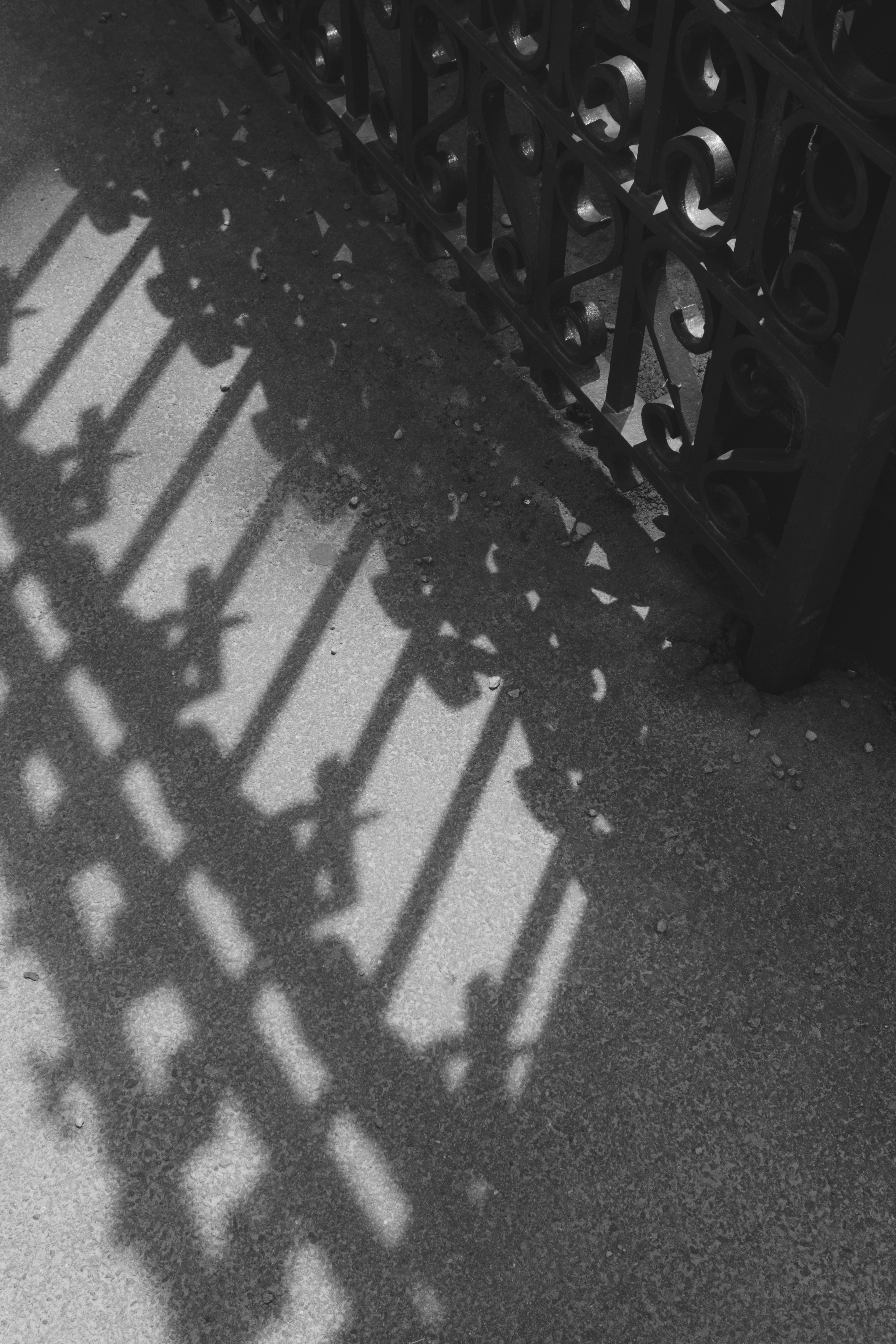Shadows on the Walk: Ironwork and Concrete in Monochrome Light