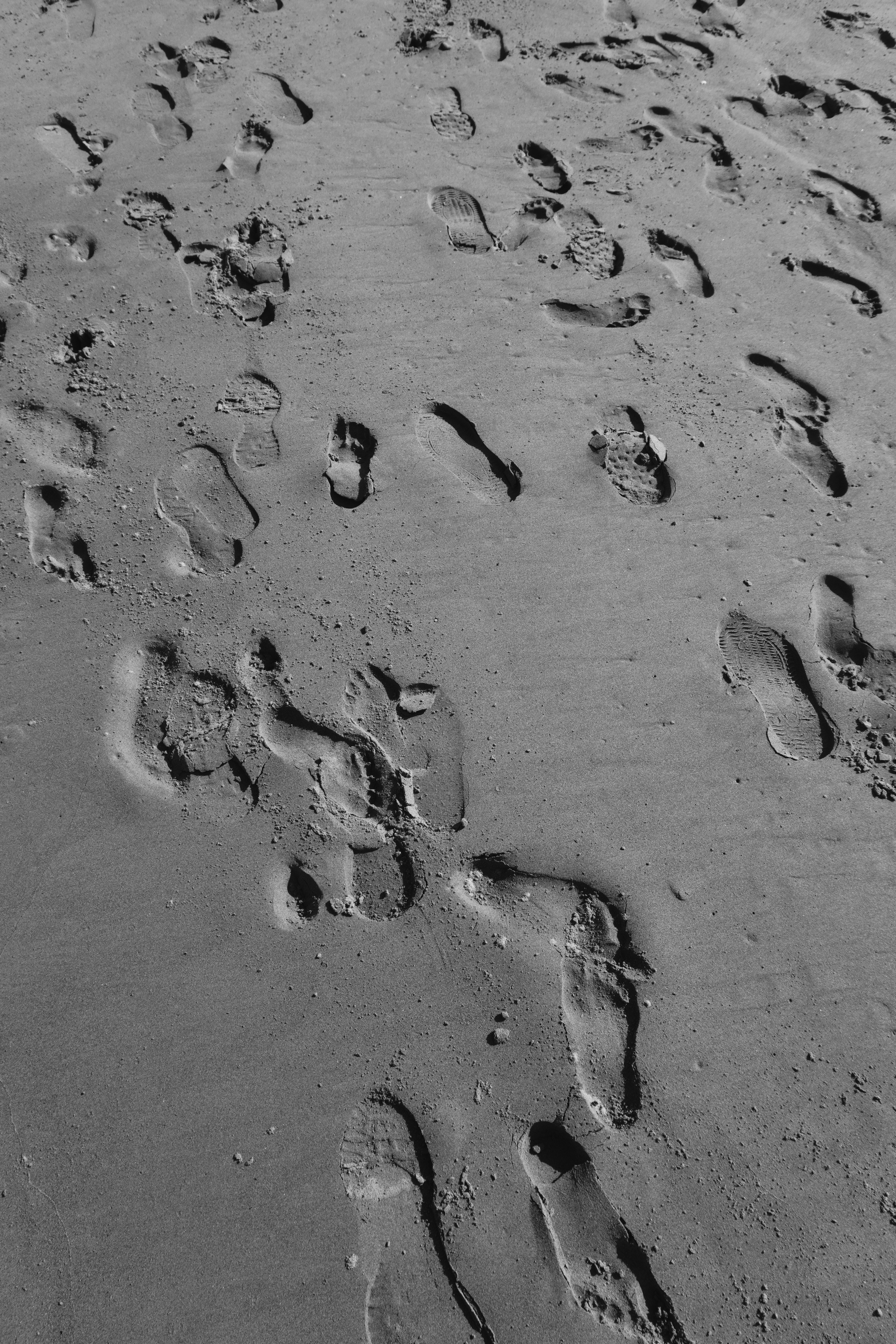 Footprints in Quiet Sand