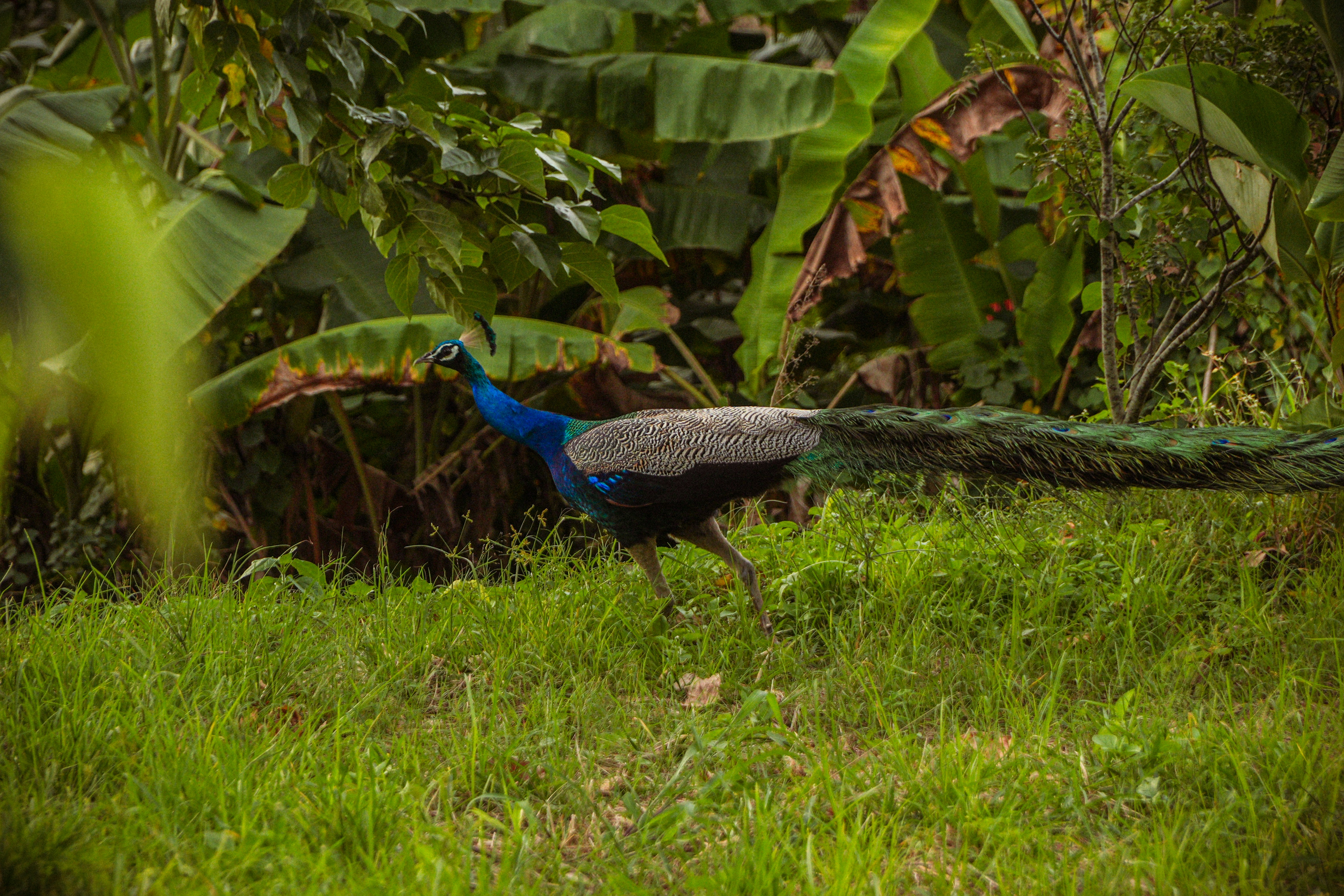 Photo by Aditya Hegde with Sony Alpha 6700