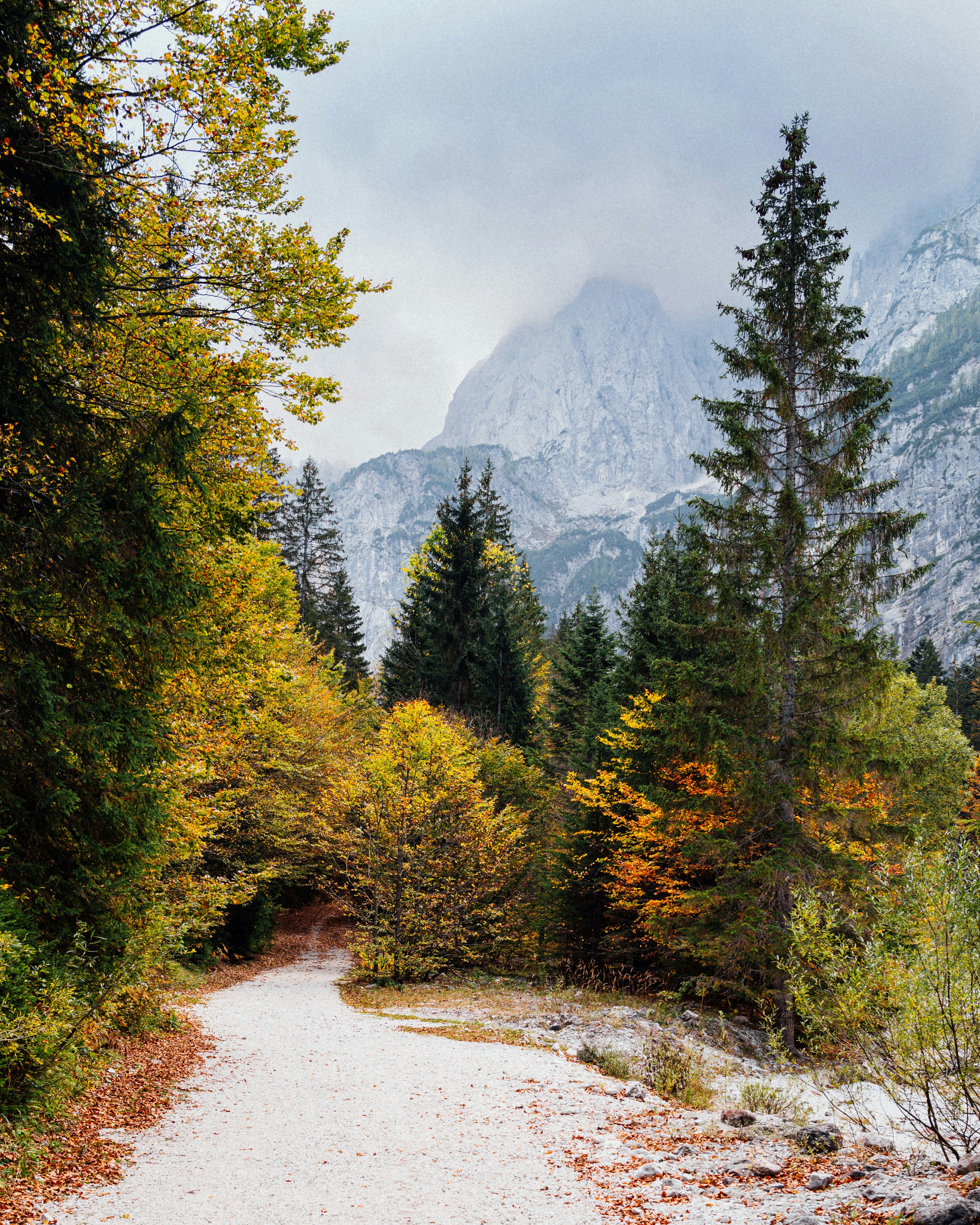 Autumn Trail Toward the Mountain Gate