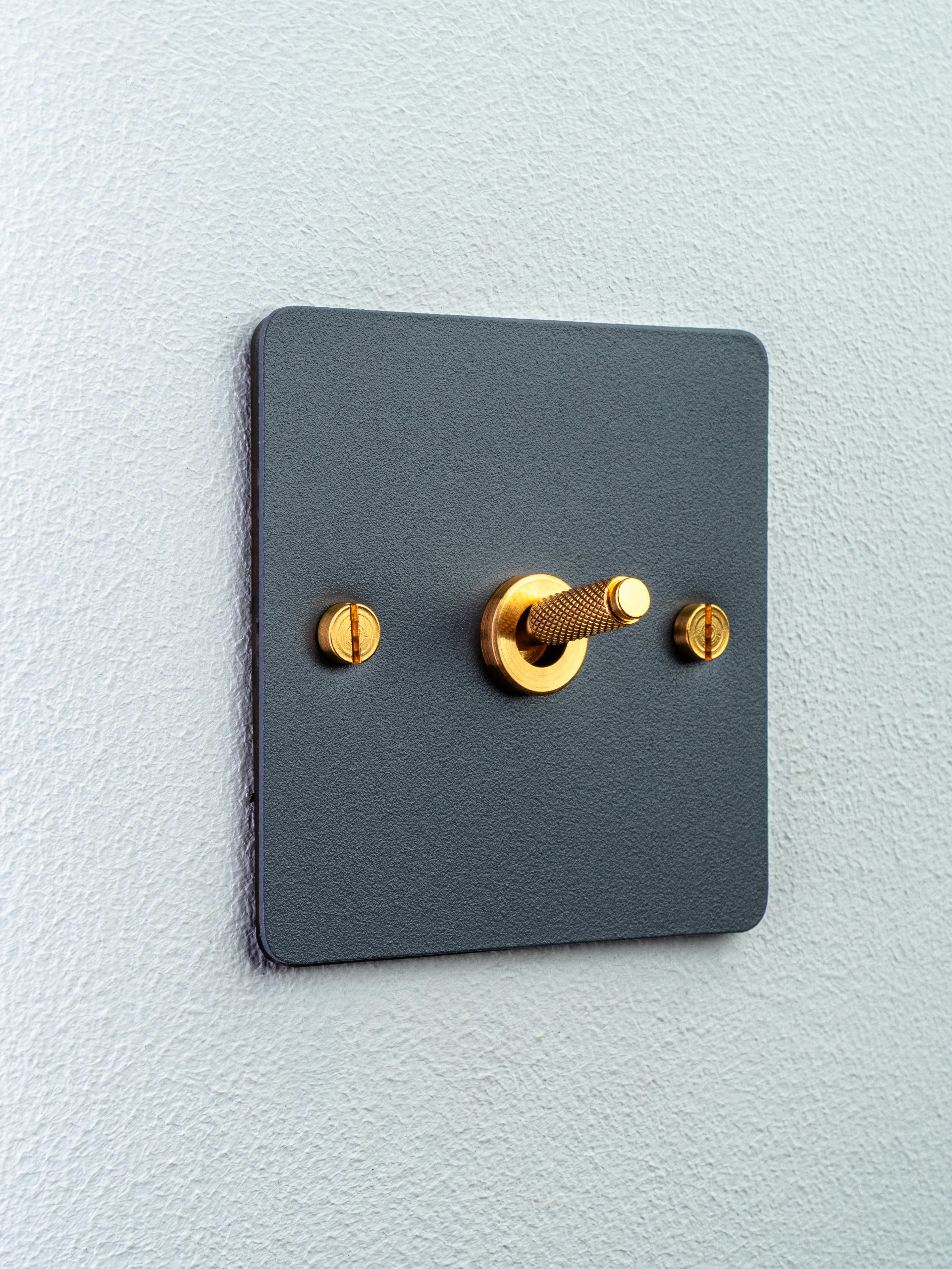 Gold Hardware on Dark Plate: A Minimalist Close-Up