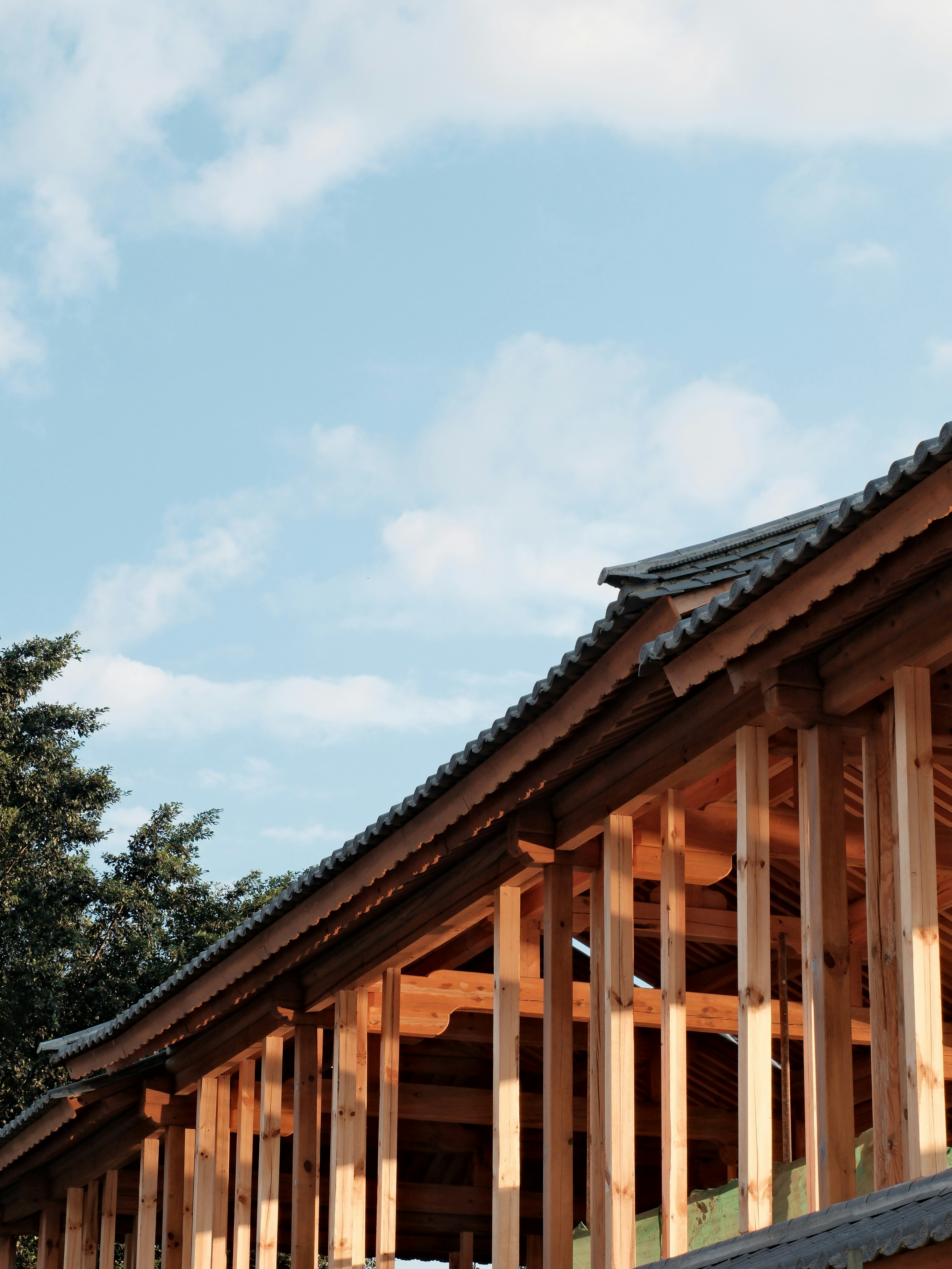 Timber Lattice under a Sky of Soft Clouds