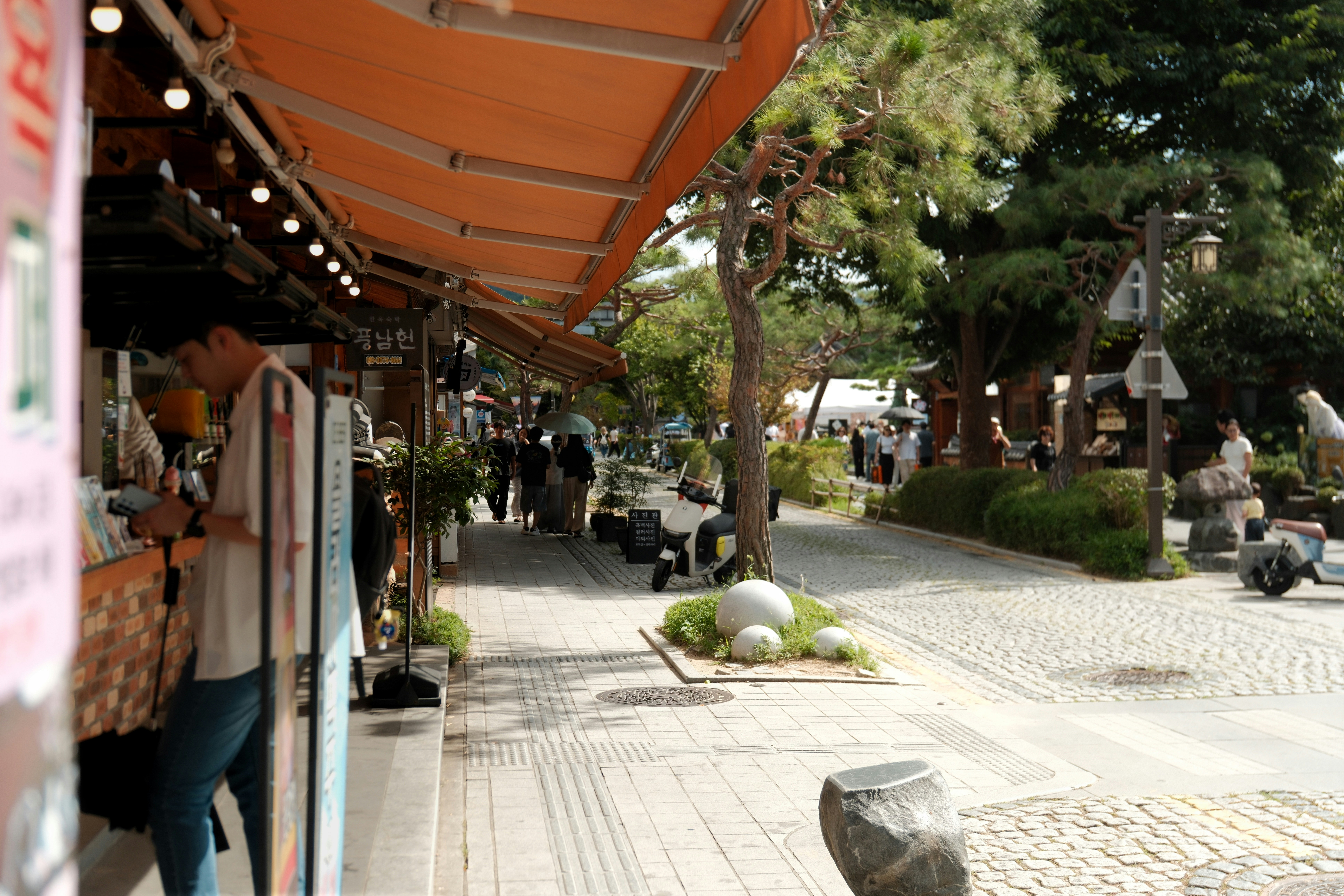 Shaded street stalls and stone-paved walkway beyond a row of trees
