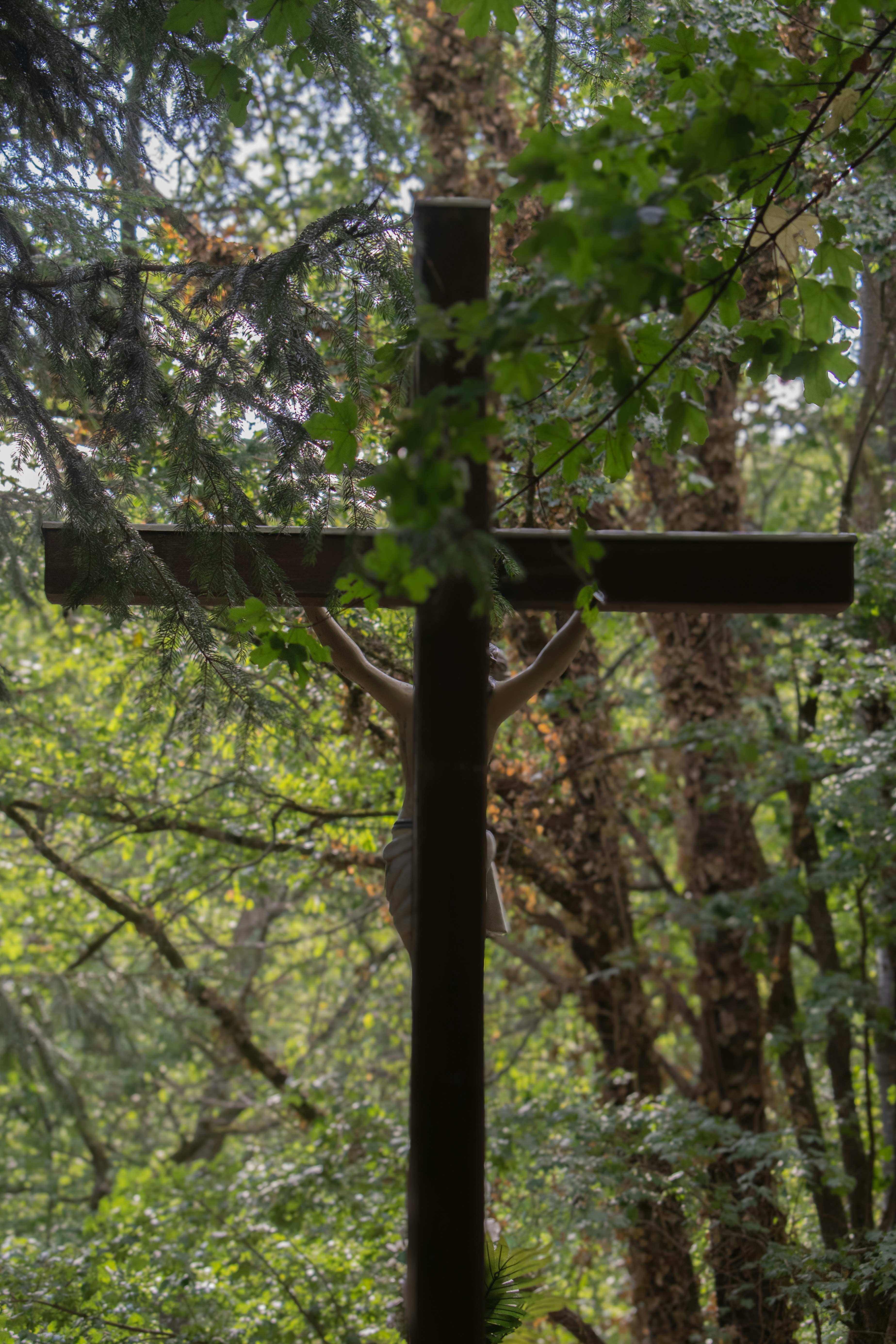 Forest cruciform: a solitary cross in dappled light