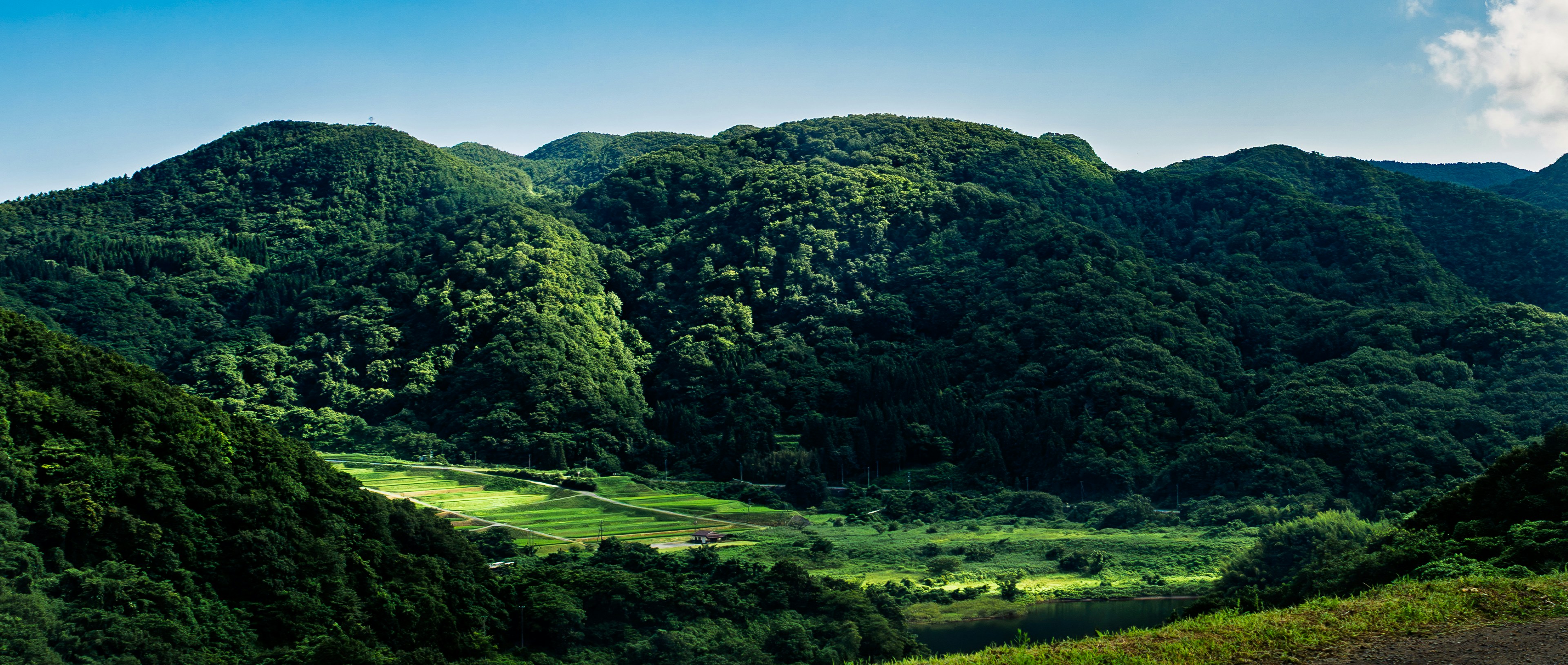 Lush valley between forested hills with a bright meadow under a blue sky; a tranquil landscape emphasizing depth and natural contrast.