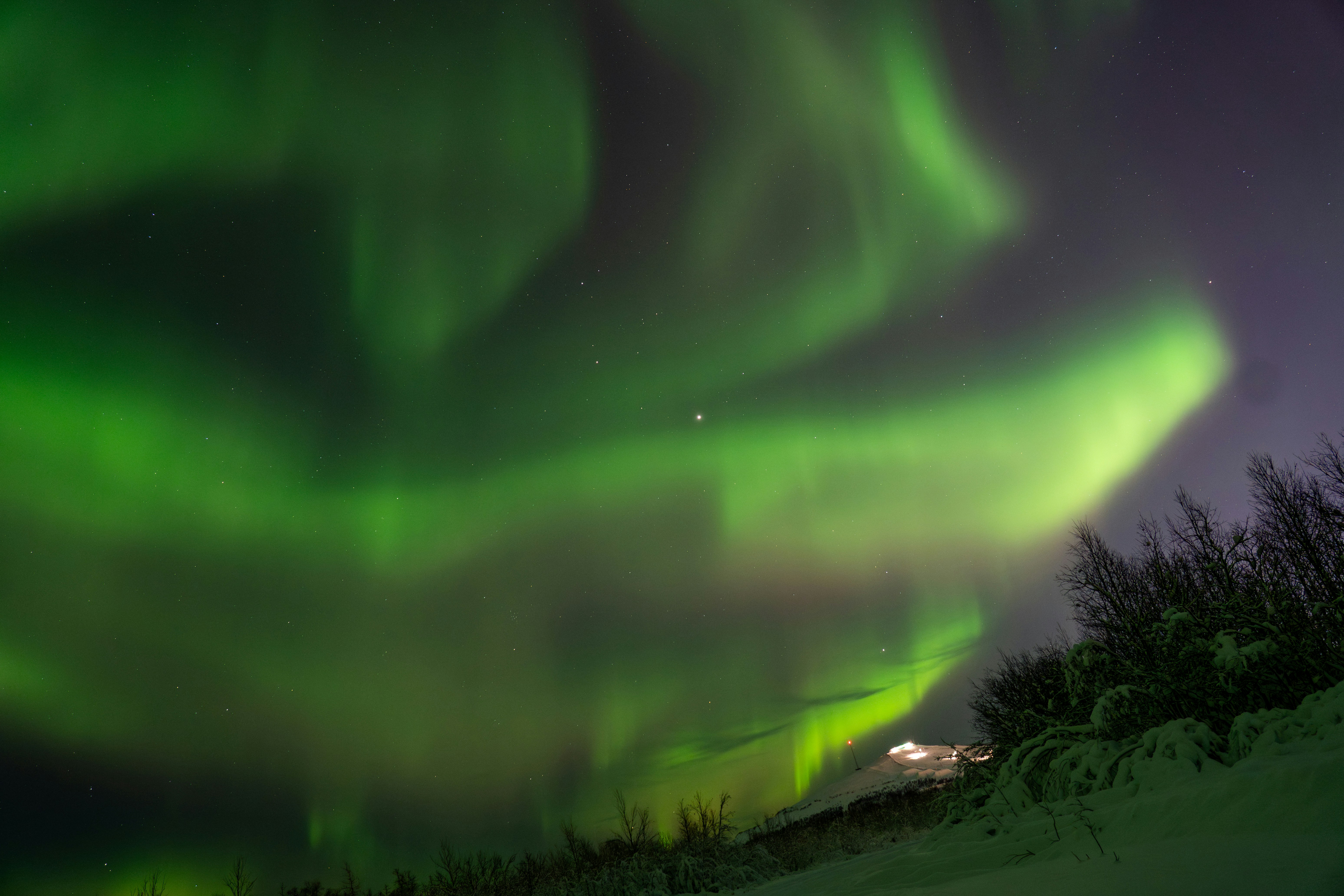 Aurora Veil over Snowbound Pines