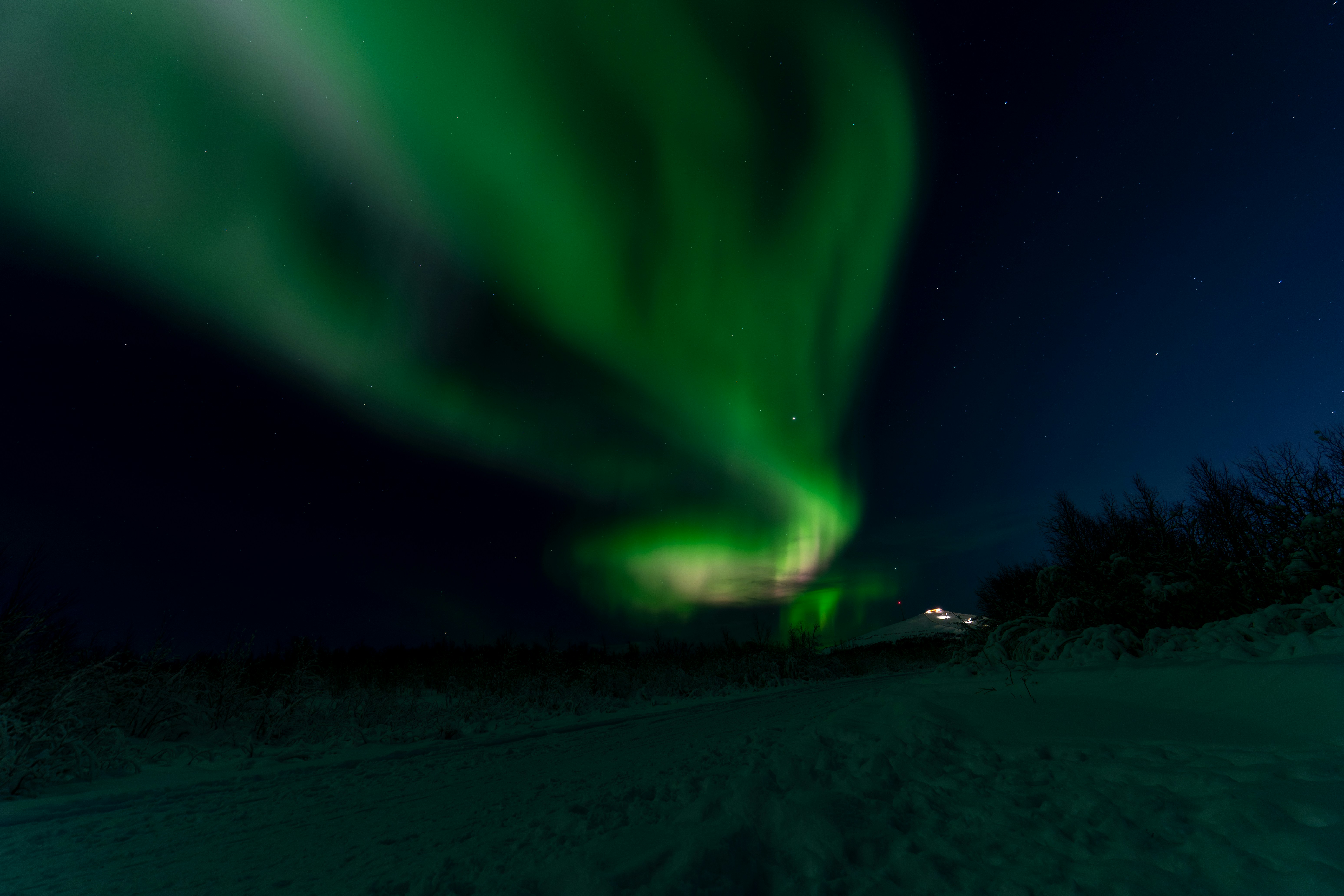 Aurora Ribbon Over Silent Snowfield