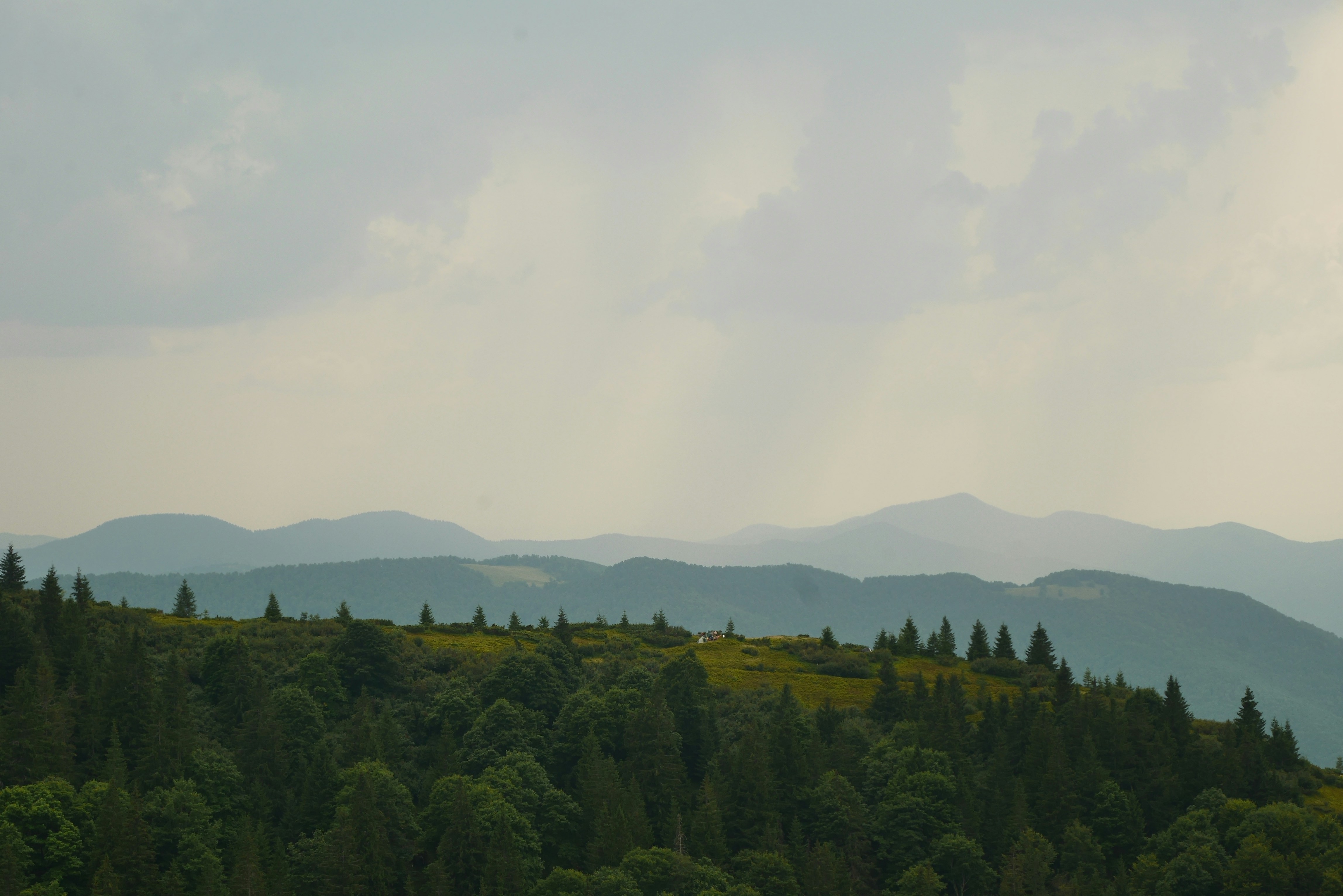 Mist over the Ridge: A Quiet Horizon of Pines and Hills