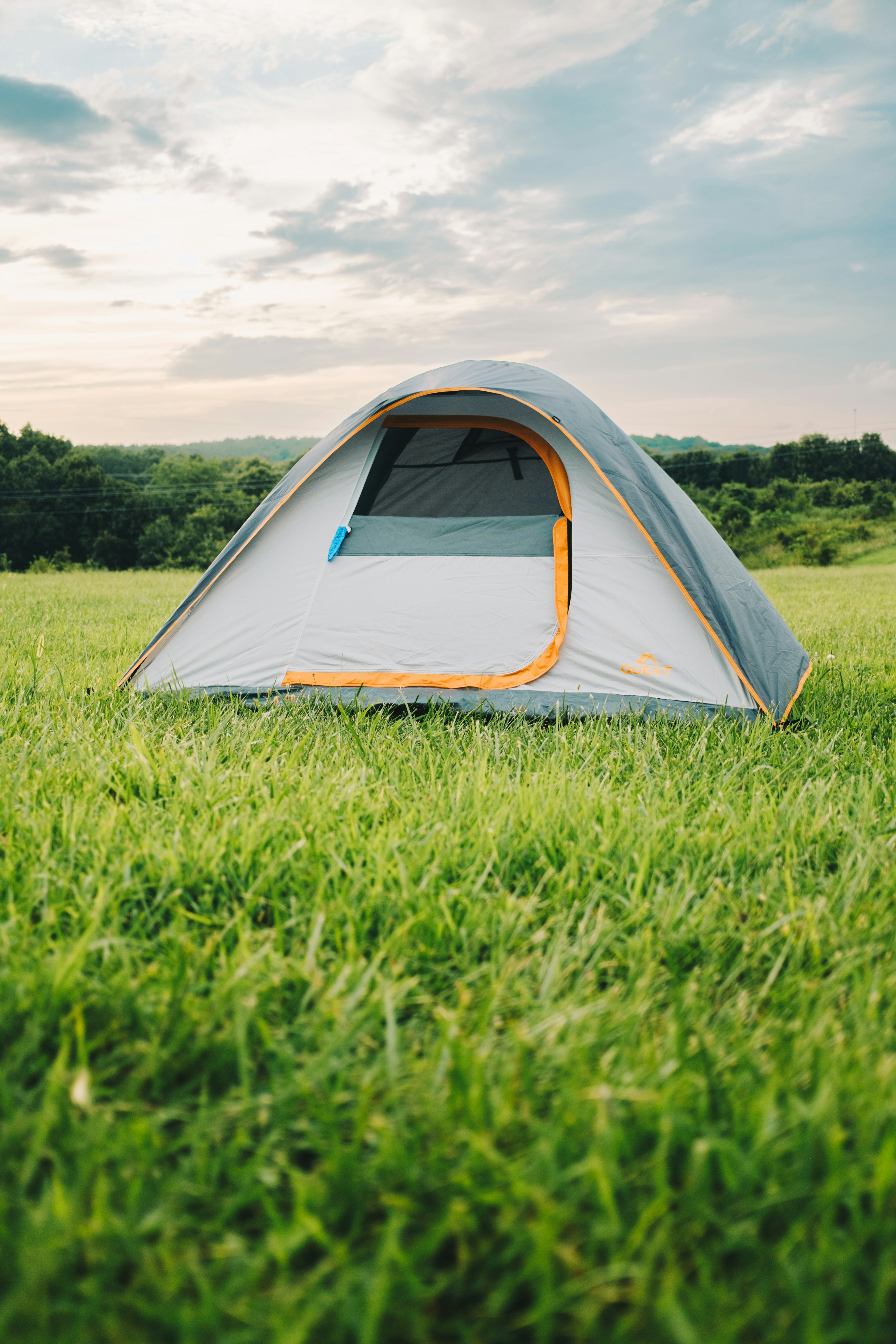 Sunlit Shelter in a Sea of Green