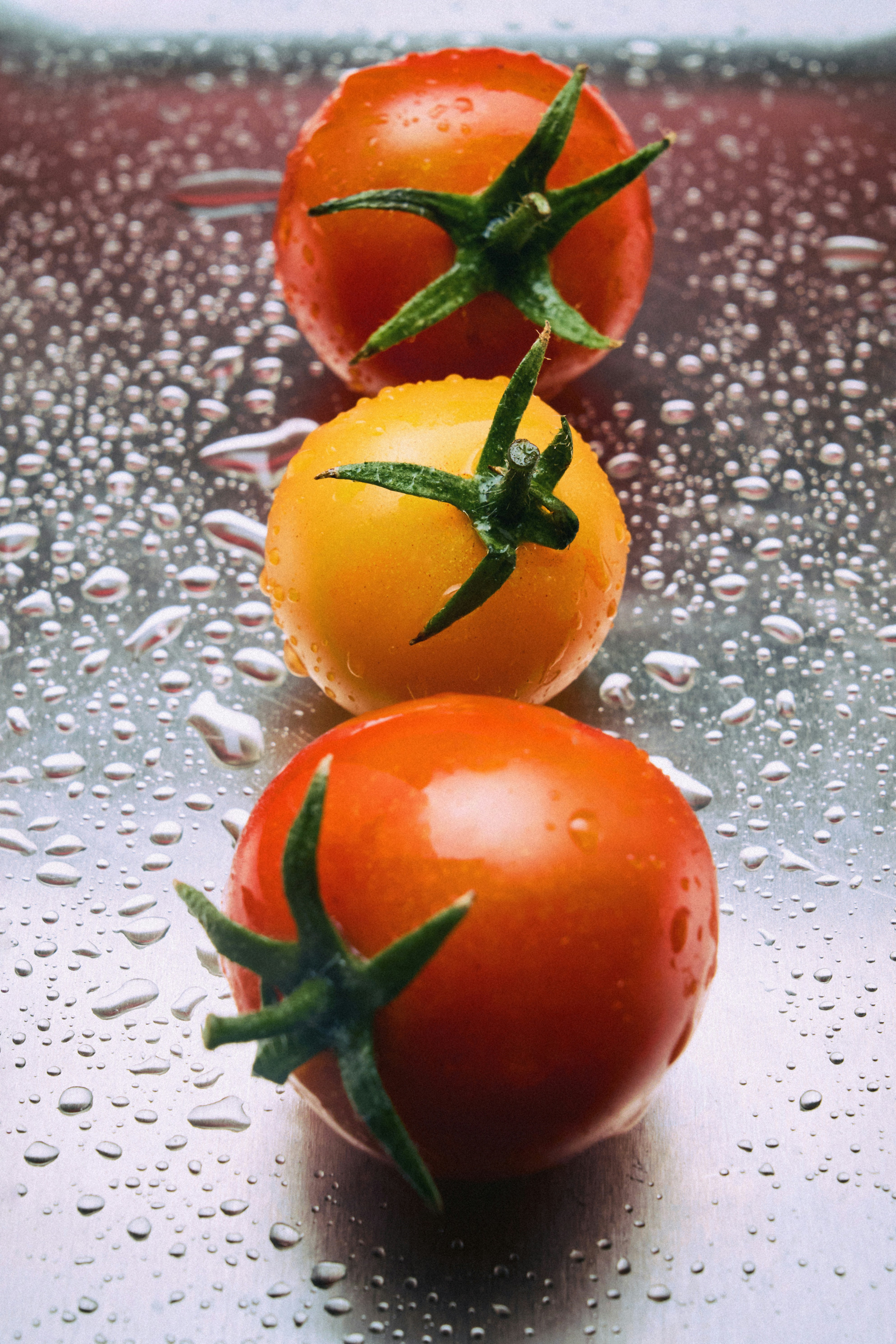 Three Tomatoes in a Lustrous Rain: A Vertical Row on Steel