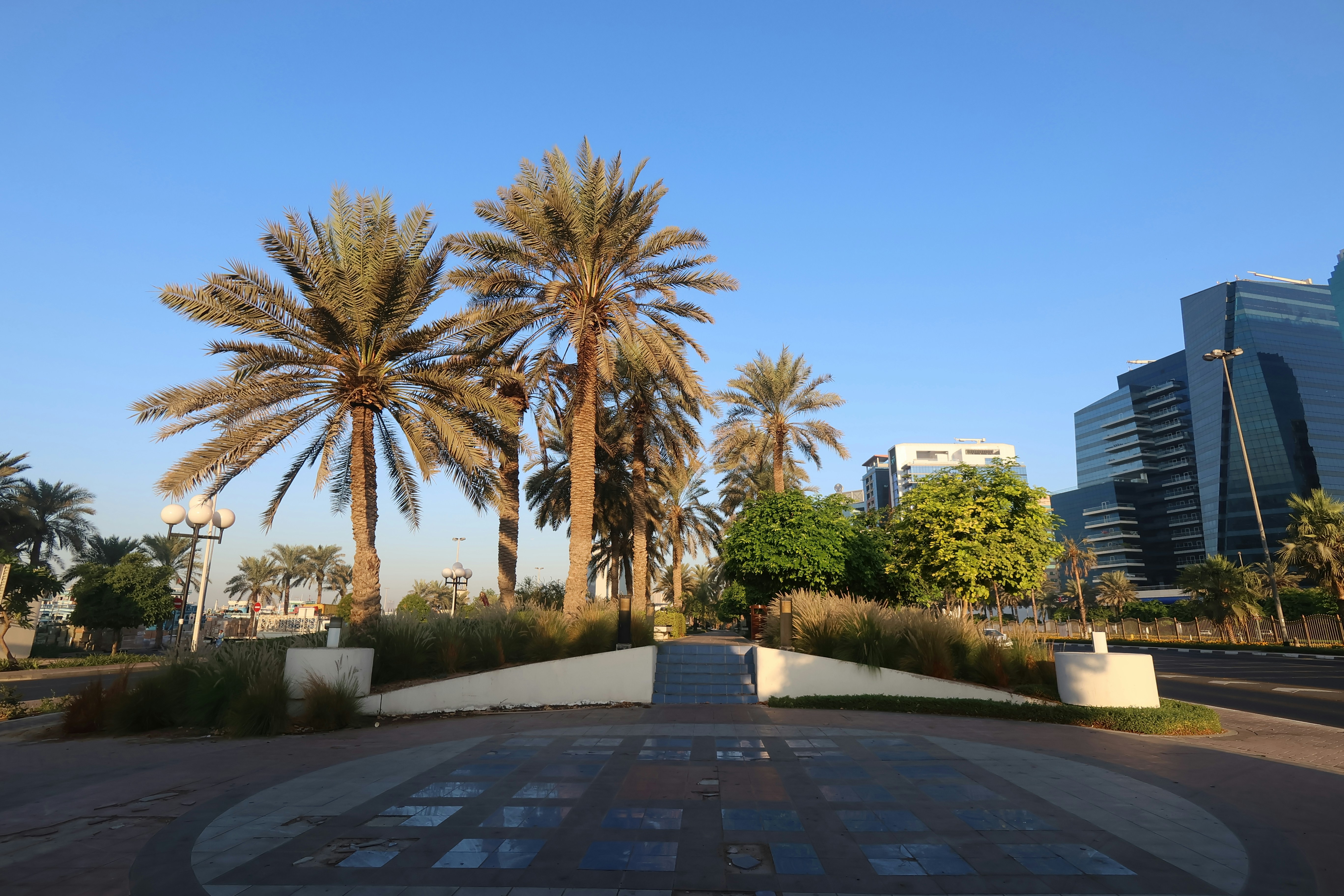 Palm trees lining a paved walkway near modern glass buildings under a clear sky