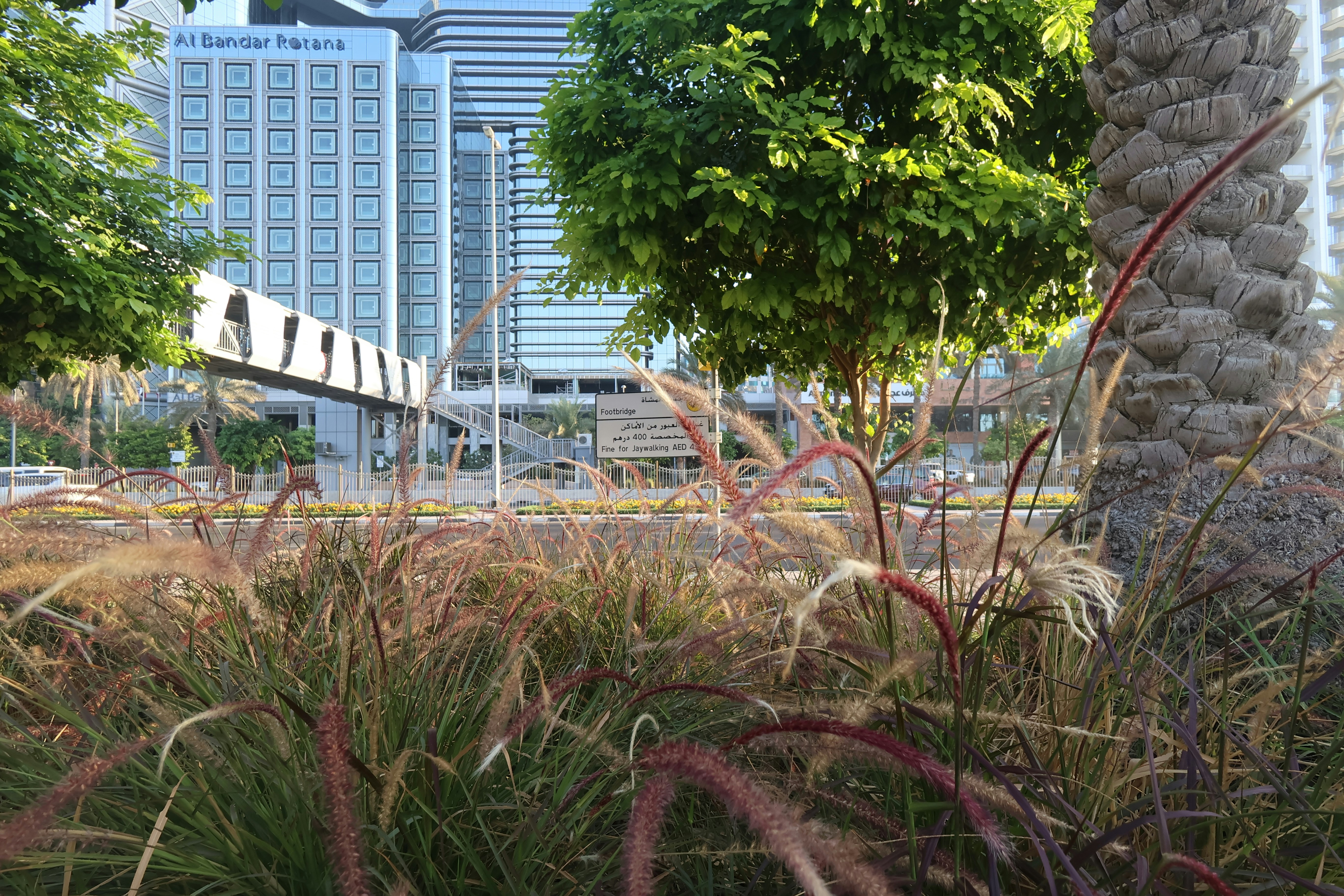 Urban Oasis: Fronds and Facades Framing a City Atrium