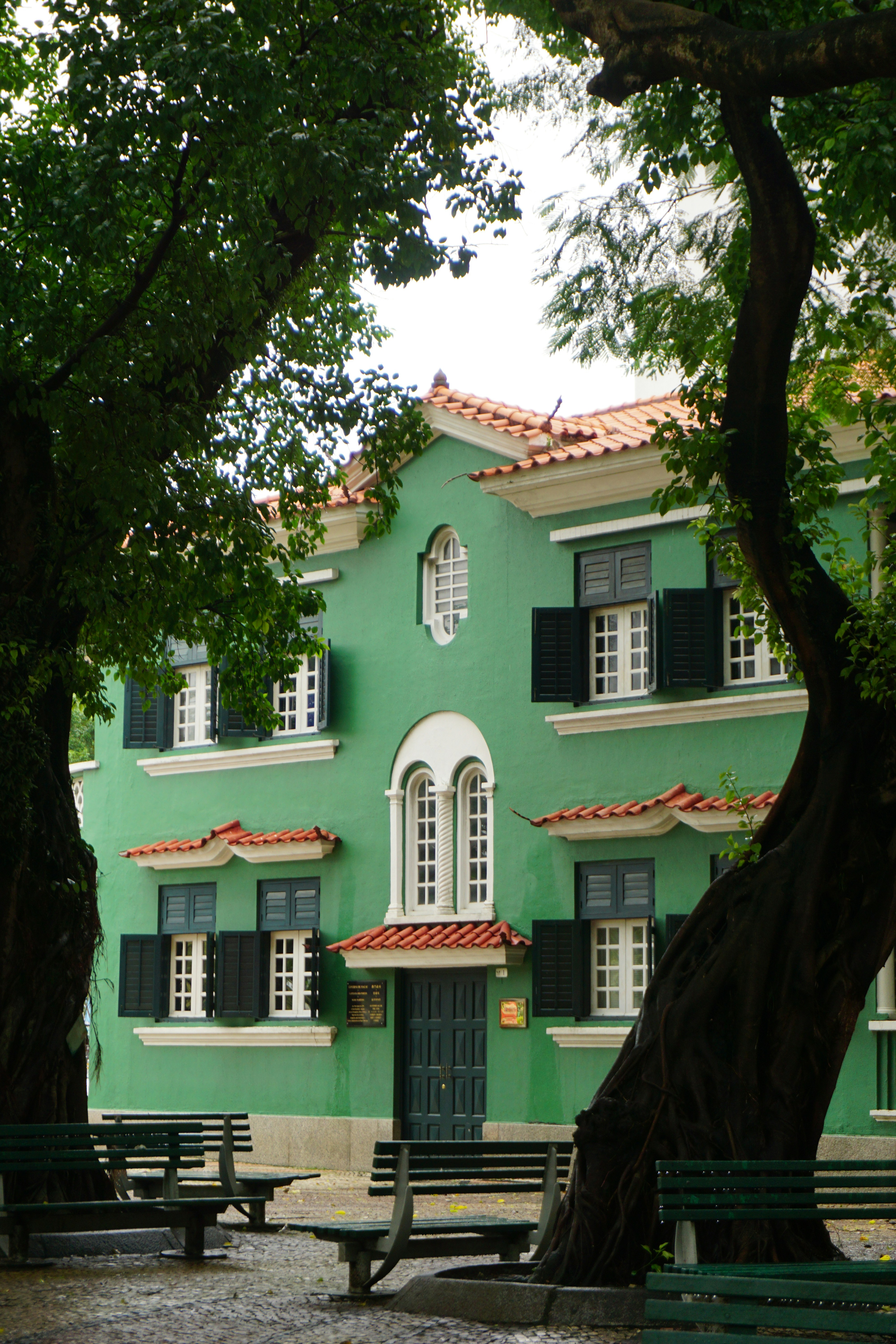 Green Facade Between Tree Trunks