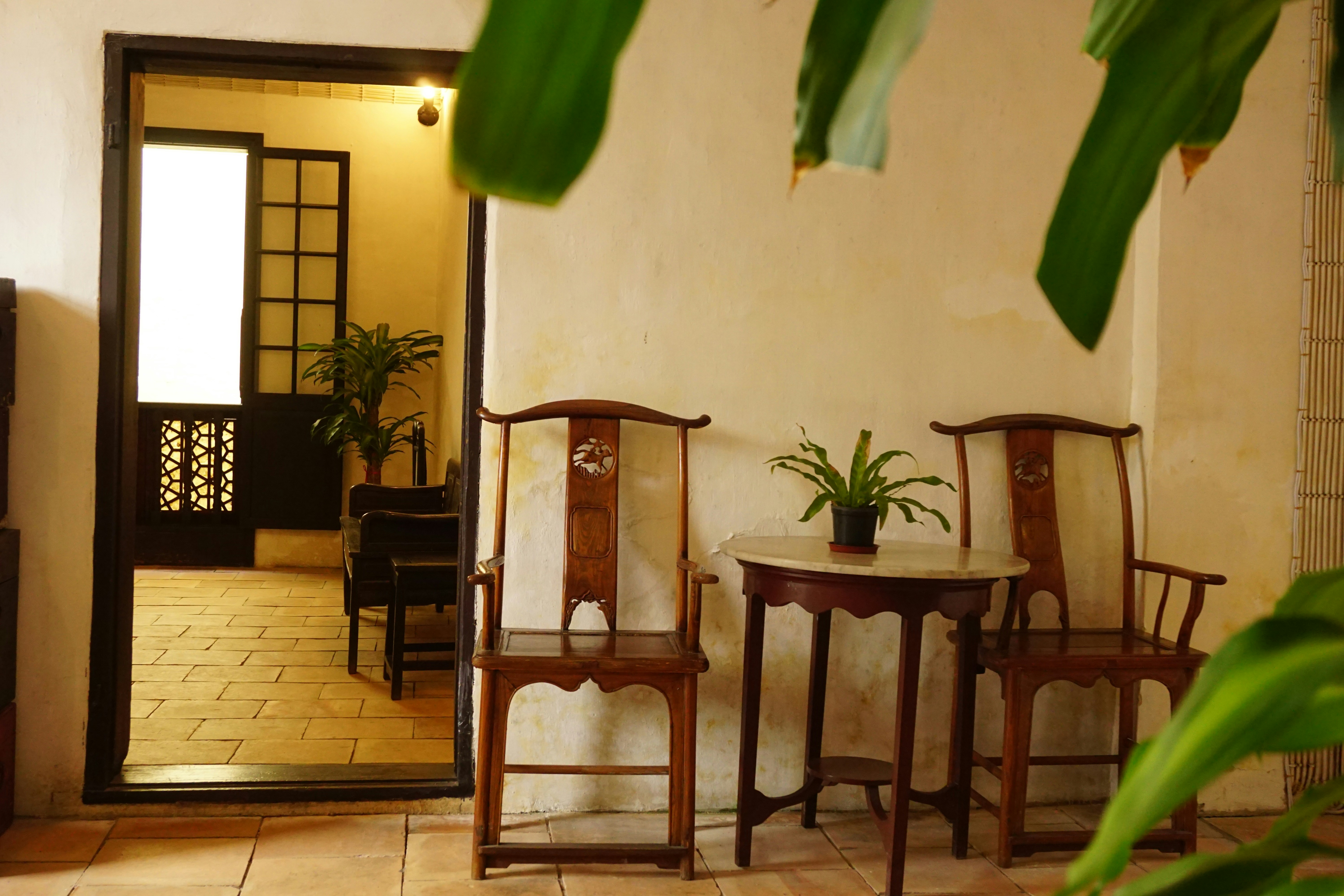 Quiet Courtyard Seating Framed by Green Fronds