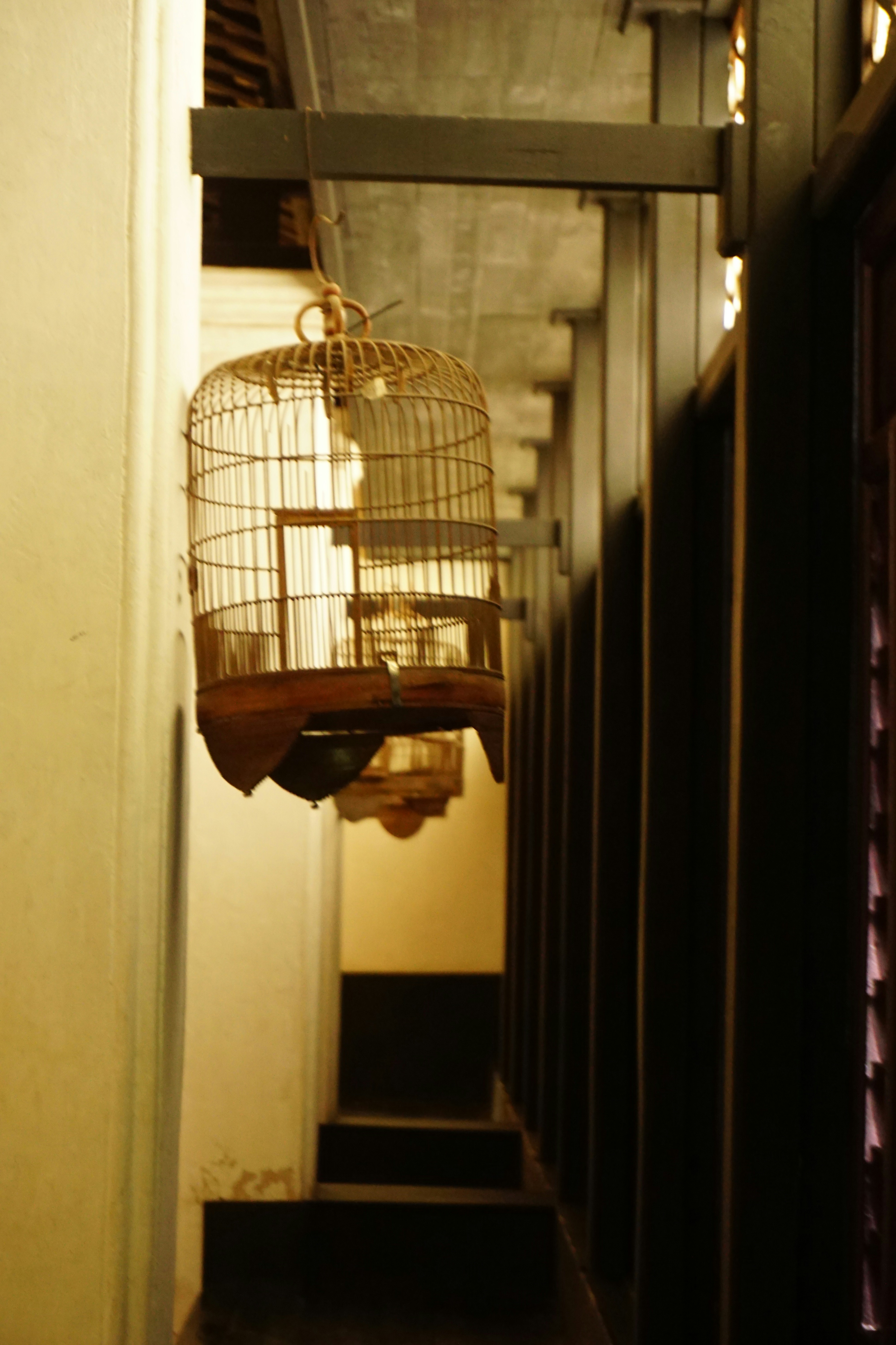Hanging Cage Lantern in a Dim Corridor