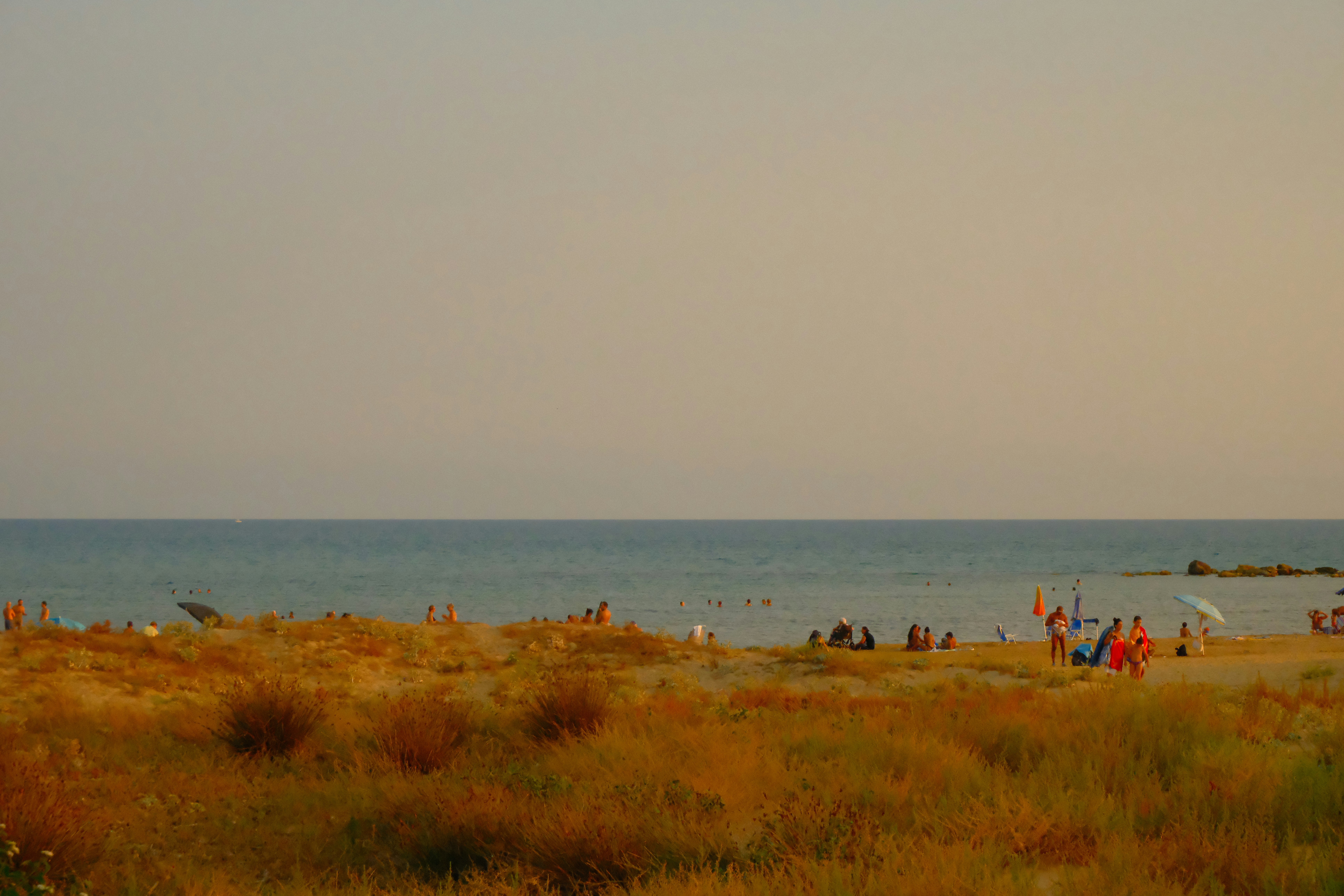 Low-angle coastal scene with beach grasses in the foreground and a calm sea meeting a pale sky; groups of people dot the shoreline, suggesting a relaxed day by the water. This is a naturalistic landscape shot.
