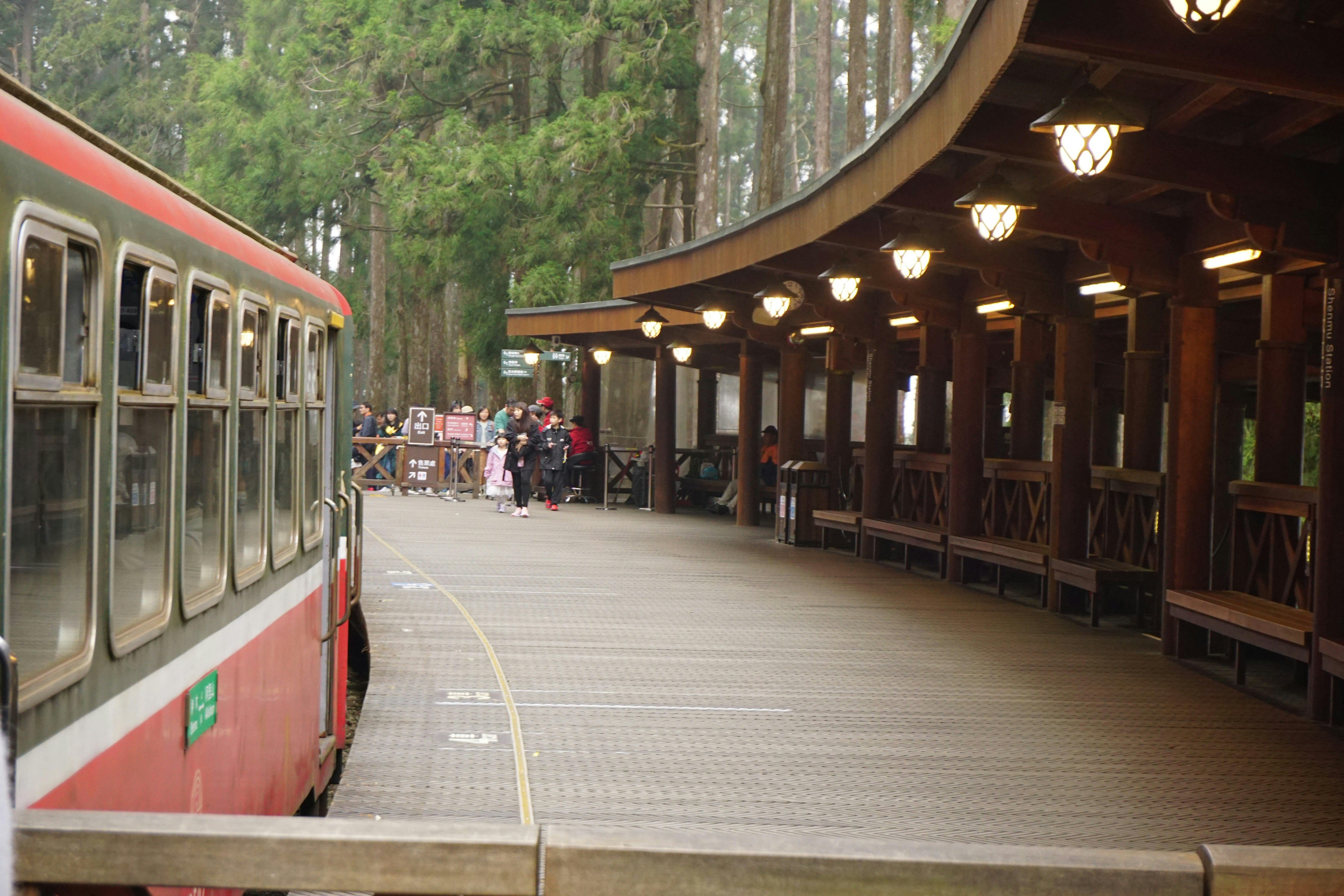 Platform Quiet: A Steam-Scented Stop at the Forest Station