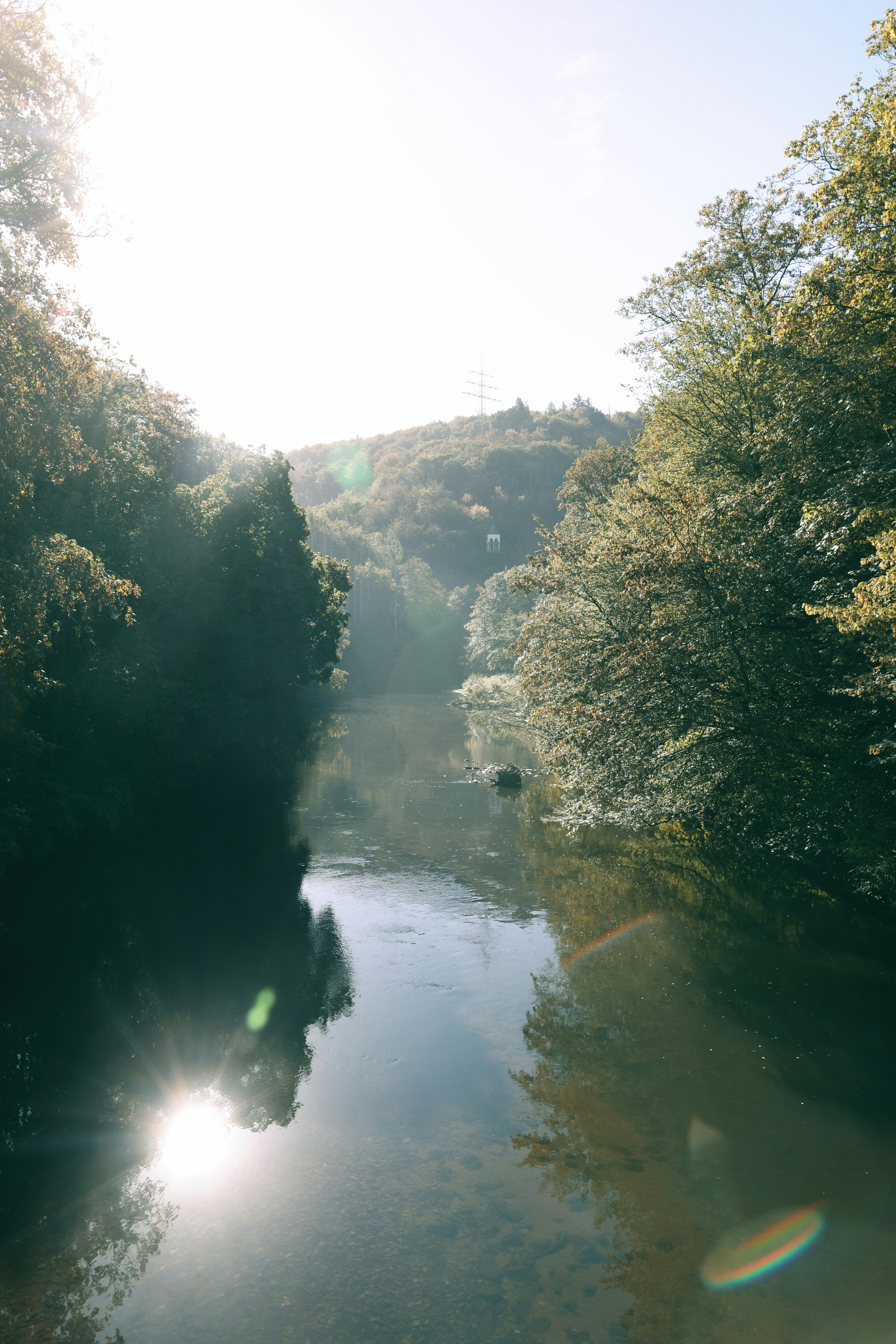 Sunlit Riverbend: Echoes of Green and Glassy Water