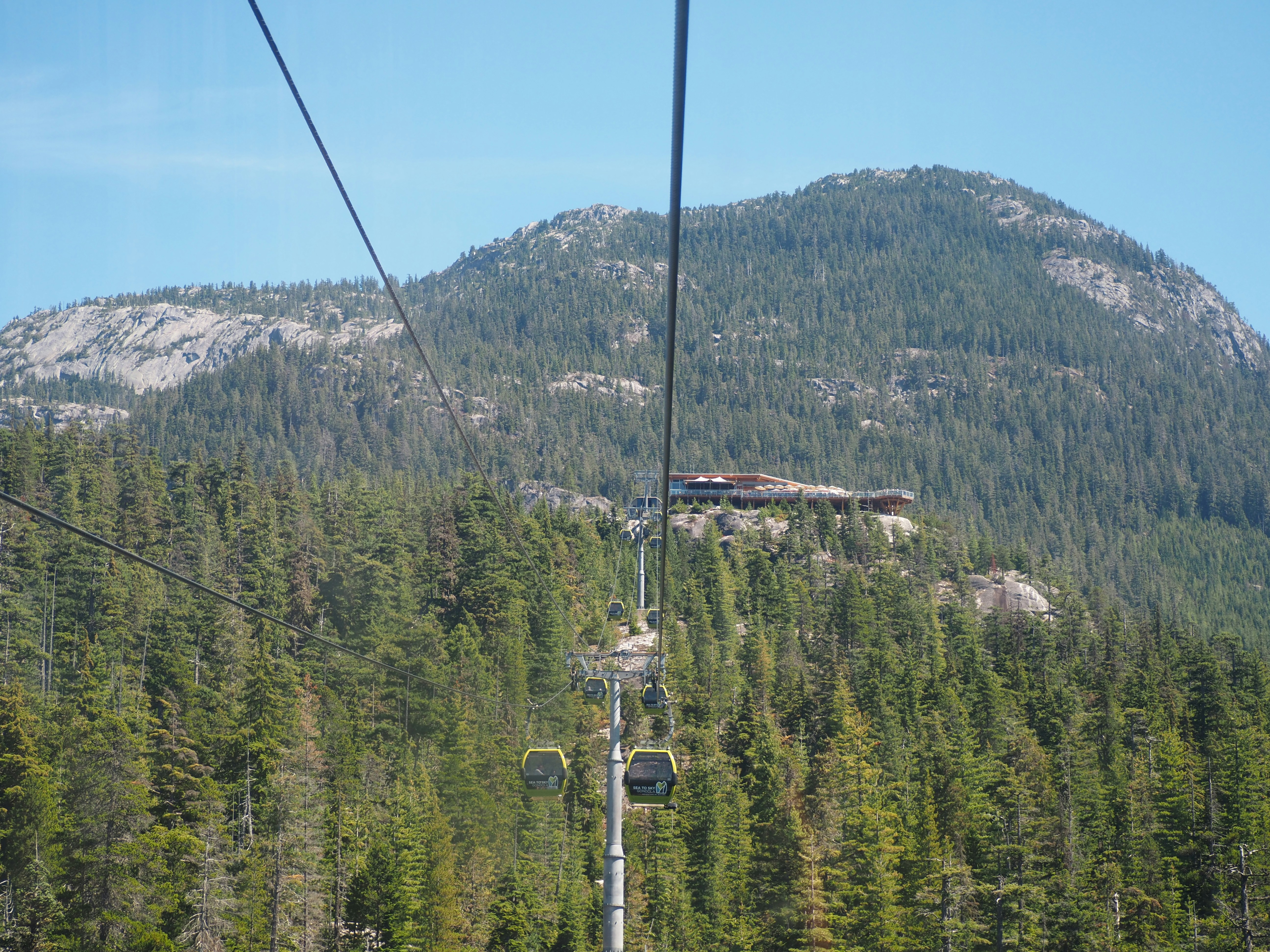 Lone Ski Lift Climbing Through Pine Fortitude