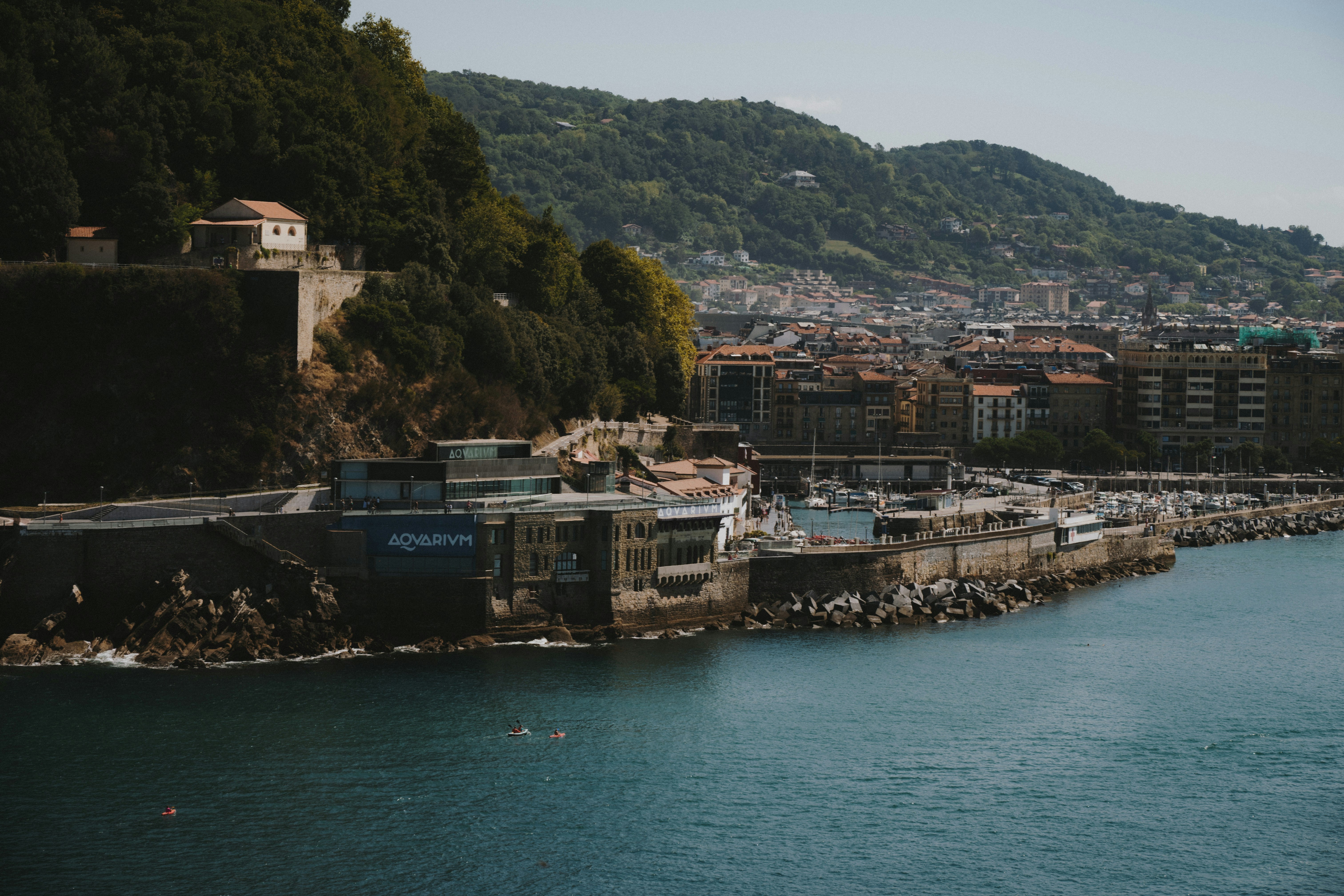 Harbor Edge: A Terraced Town Fringed by Sea and Hills