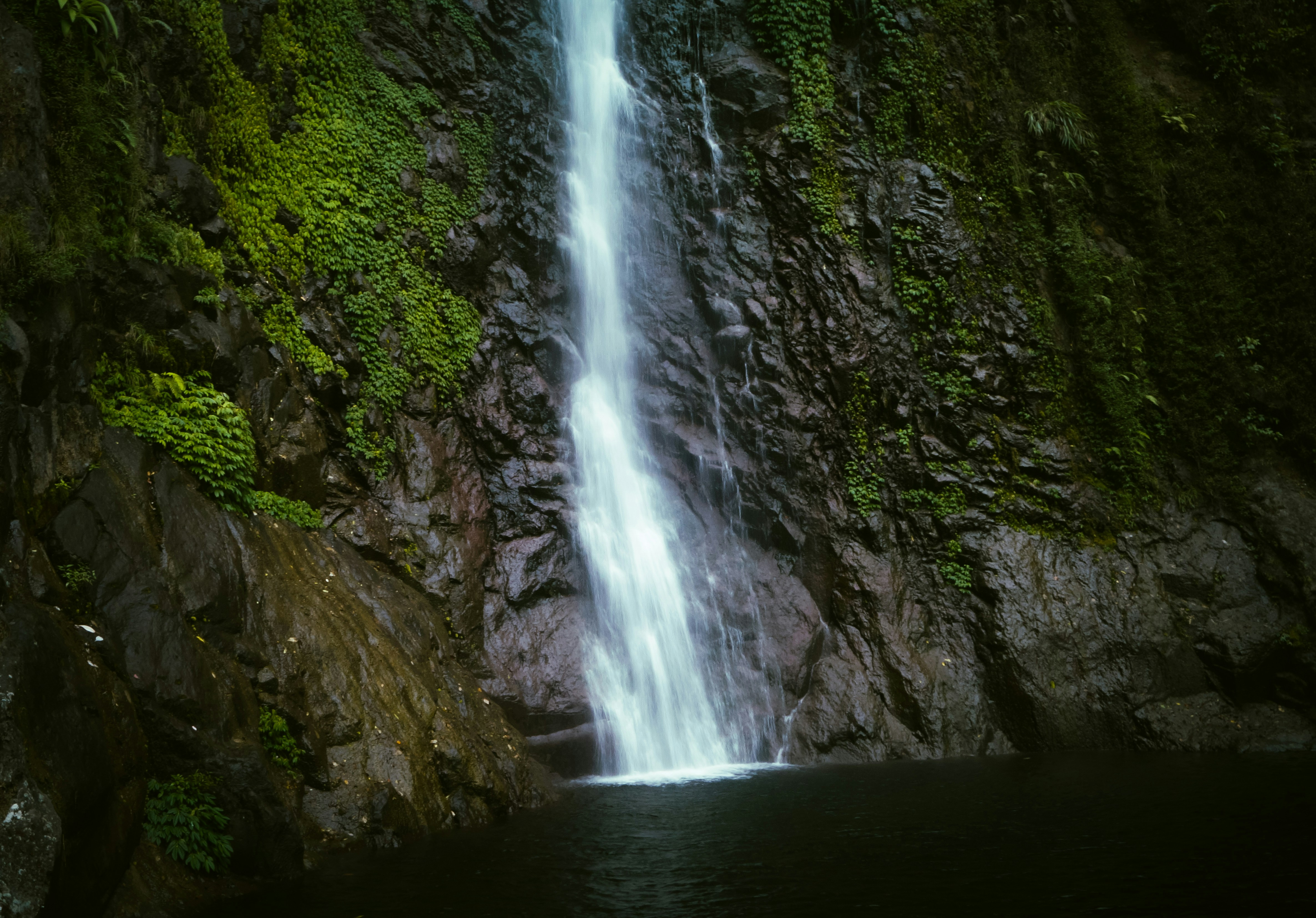 Verdant Cliffs and Veiled Cascade