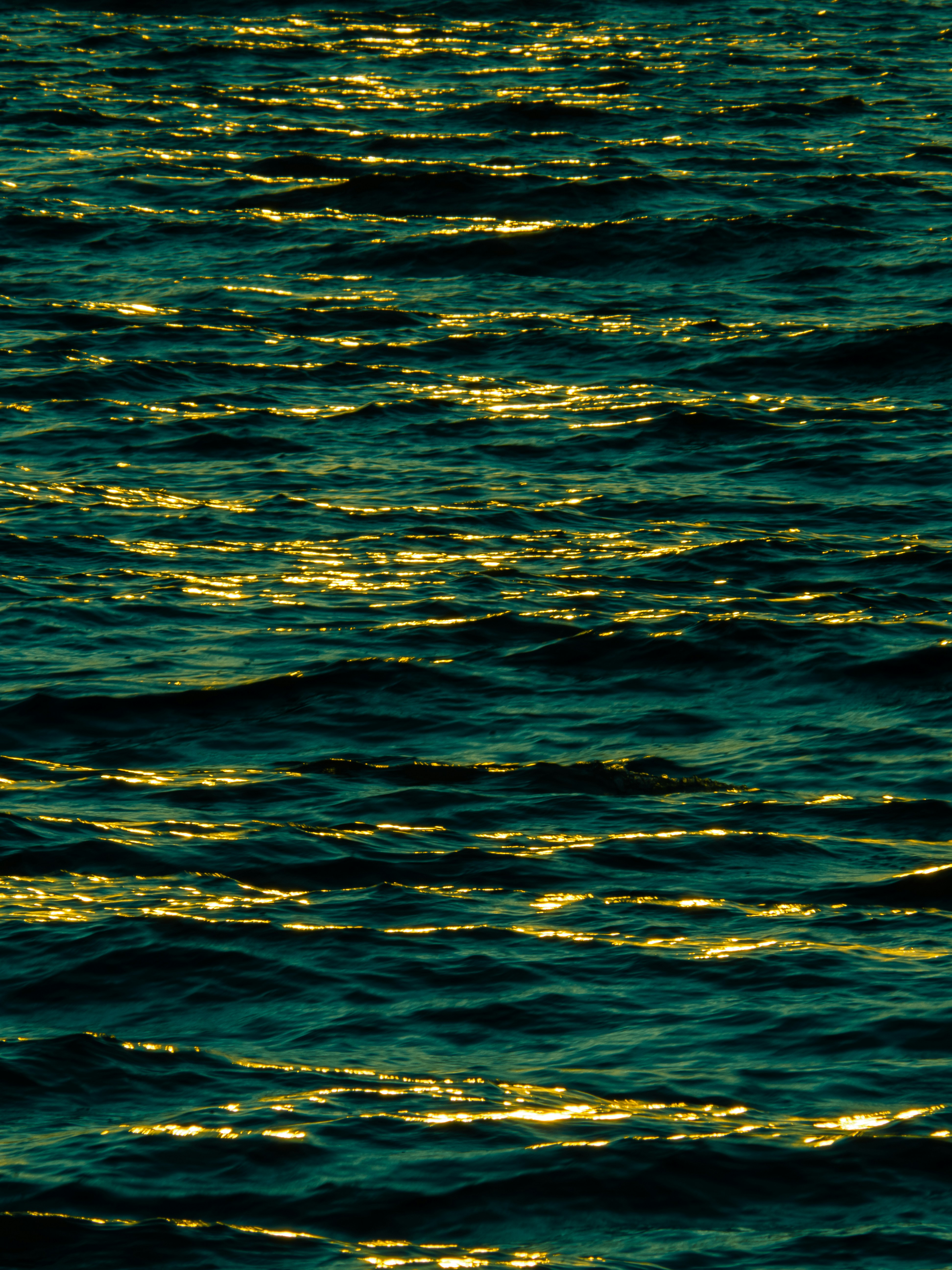 Draped ocean swells catch golden highlights, emphasizing rippling textures and the luminous linework across a deep teal surface.
