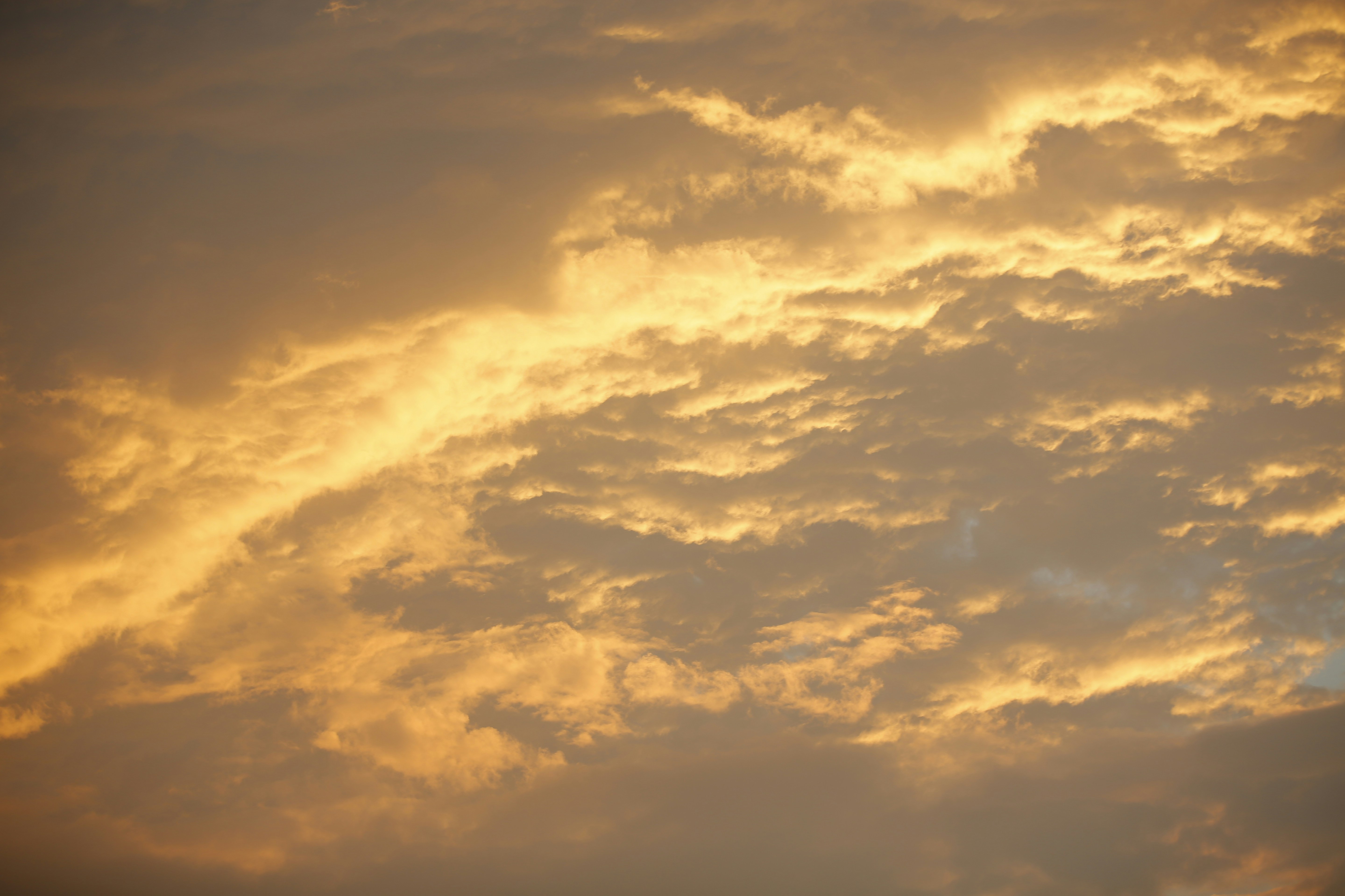 Golden Clouds at Dusk: A Quiet Sky Portrait