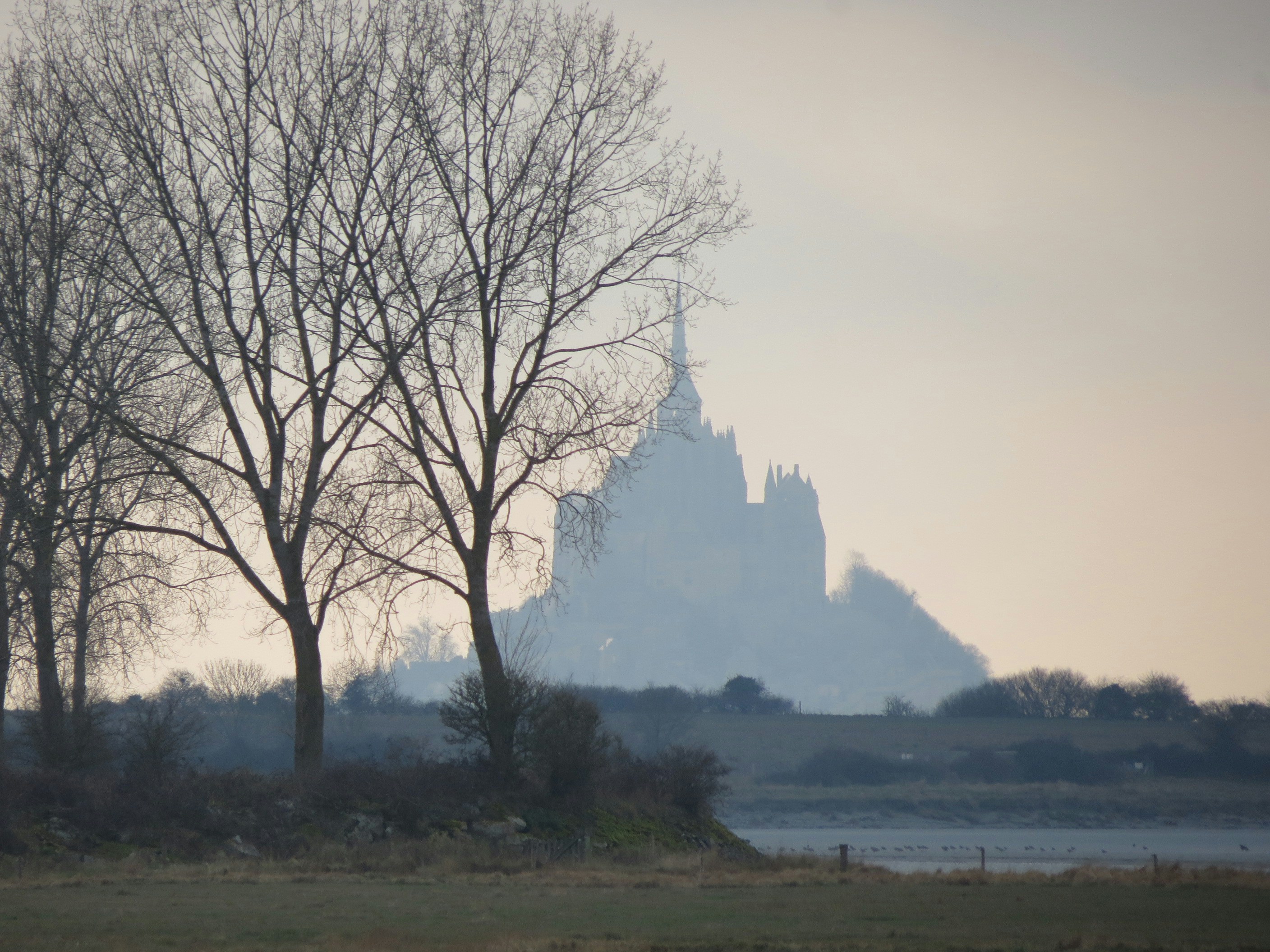 Castle on the Hill: Silhouetted Spire Beyond Bare Trees at Dusk