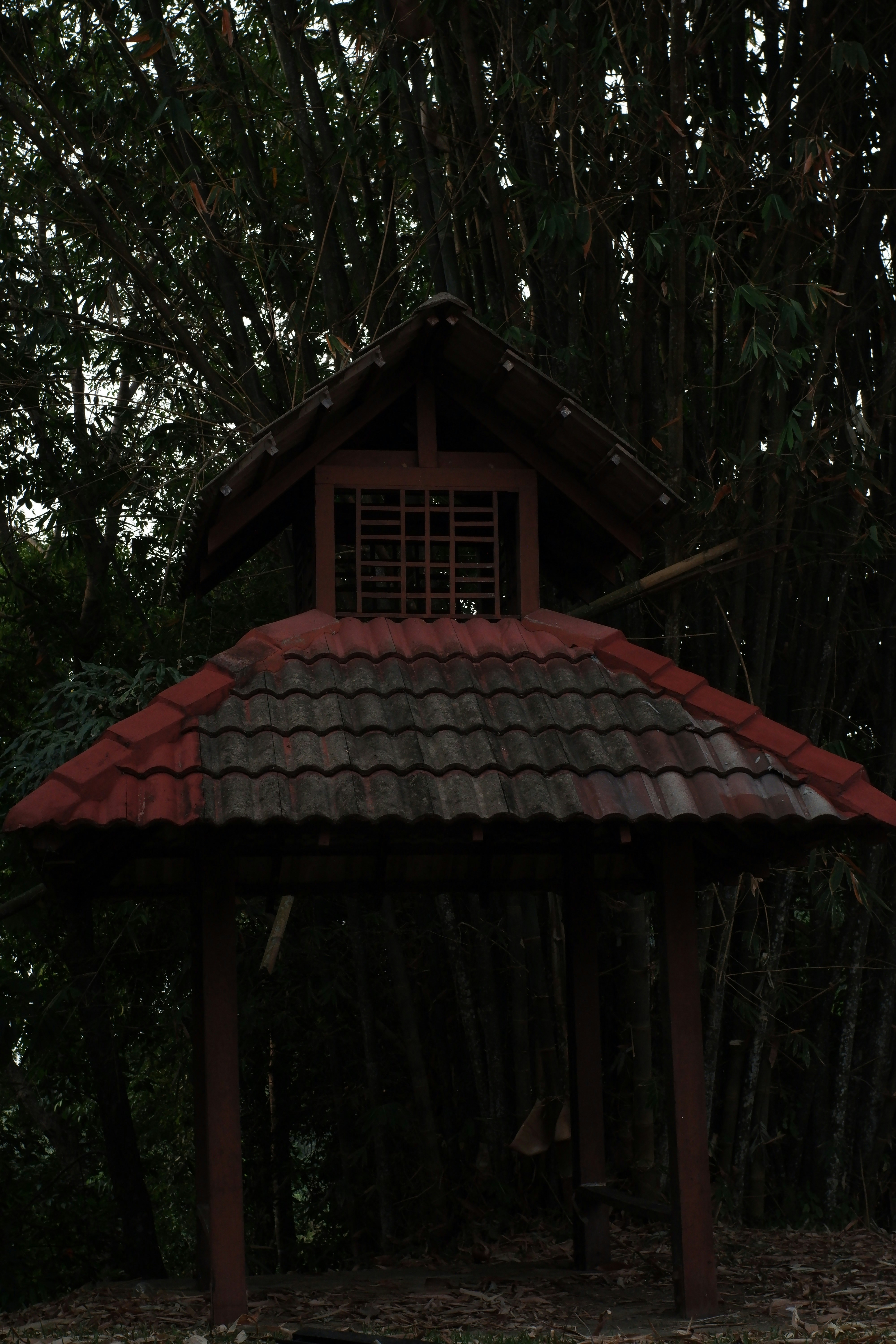 Roofed Gazebo amidst Dark Bamboo Grove