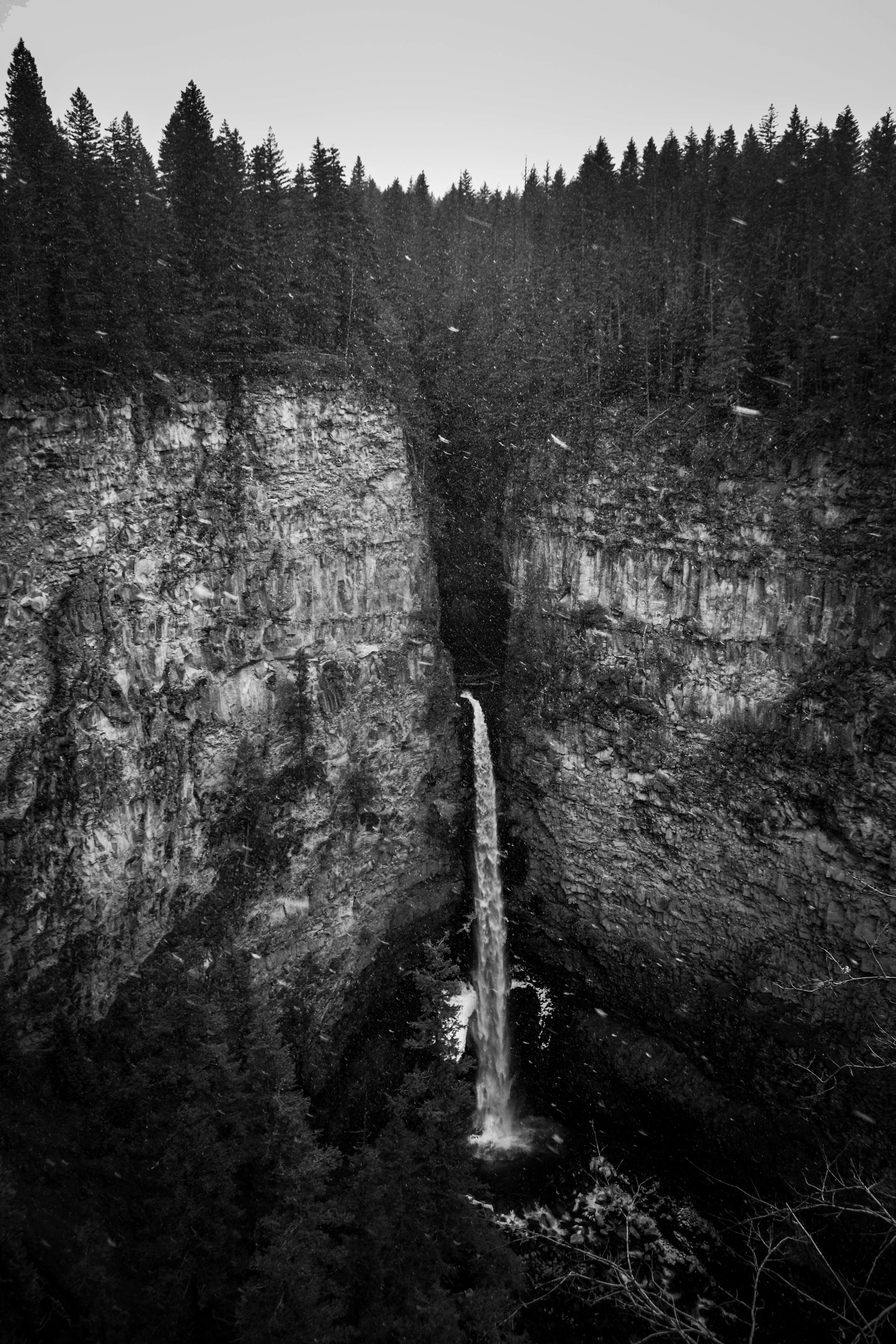 Vertical Ruin: A Narrow Fall Between Cliff Walls