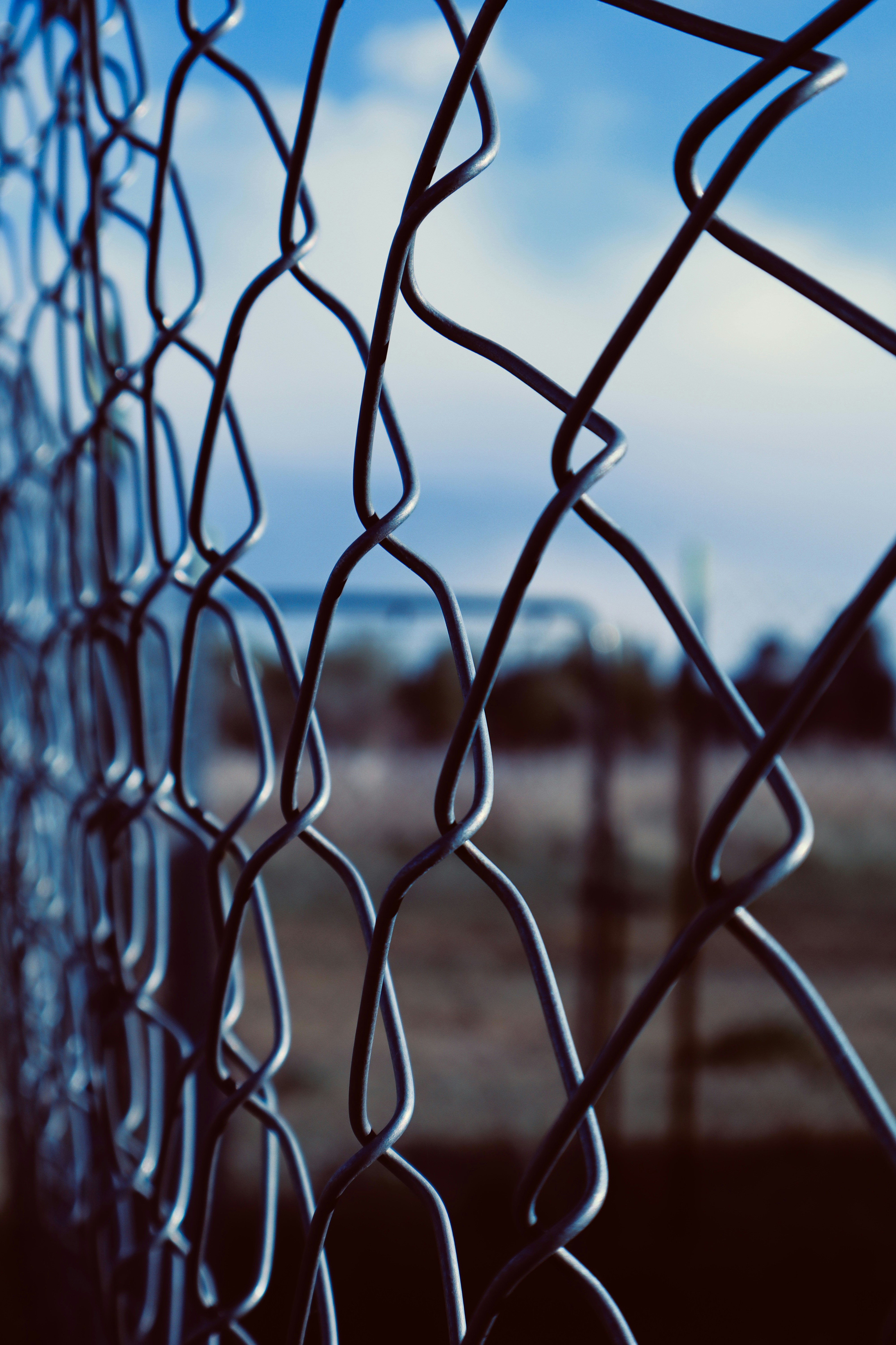 Chain-link silhouettes: a close embrace with distant horizon