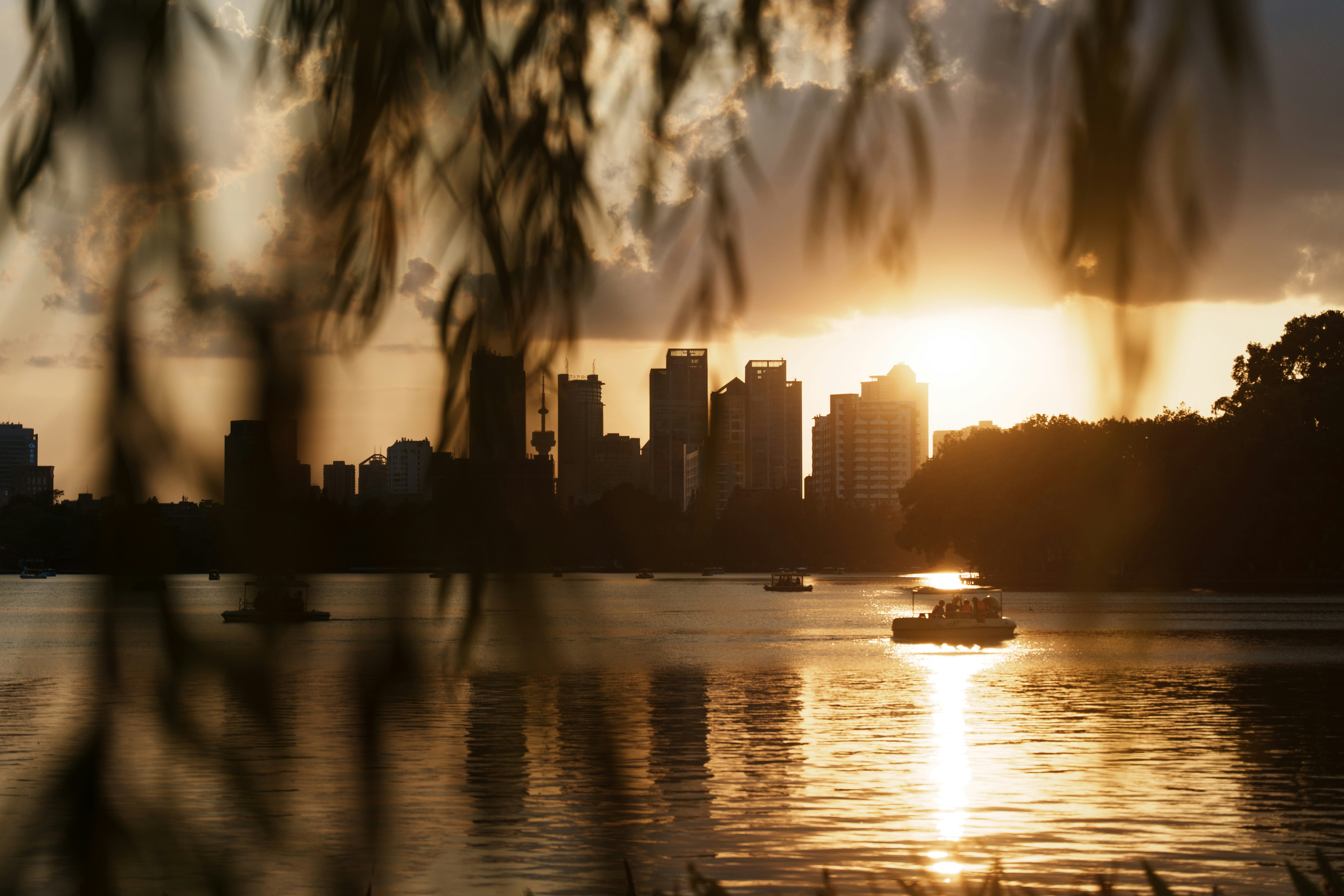 Silhouetted city skyline across a reflective river at sunset, foreground framed by hanging foliage; calm water mirrors the warm light, creating a serene urban waterfront scene.