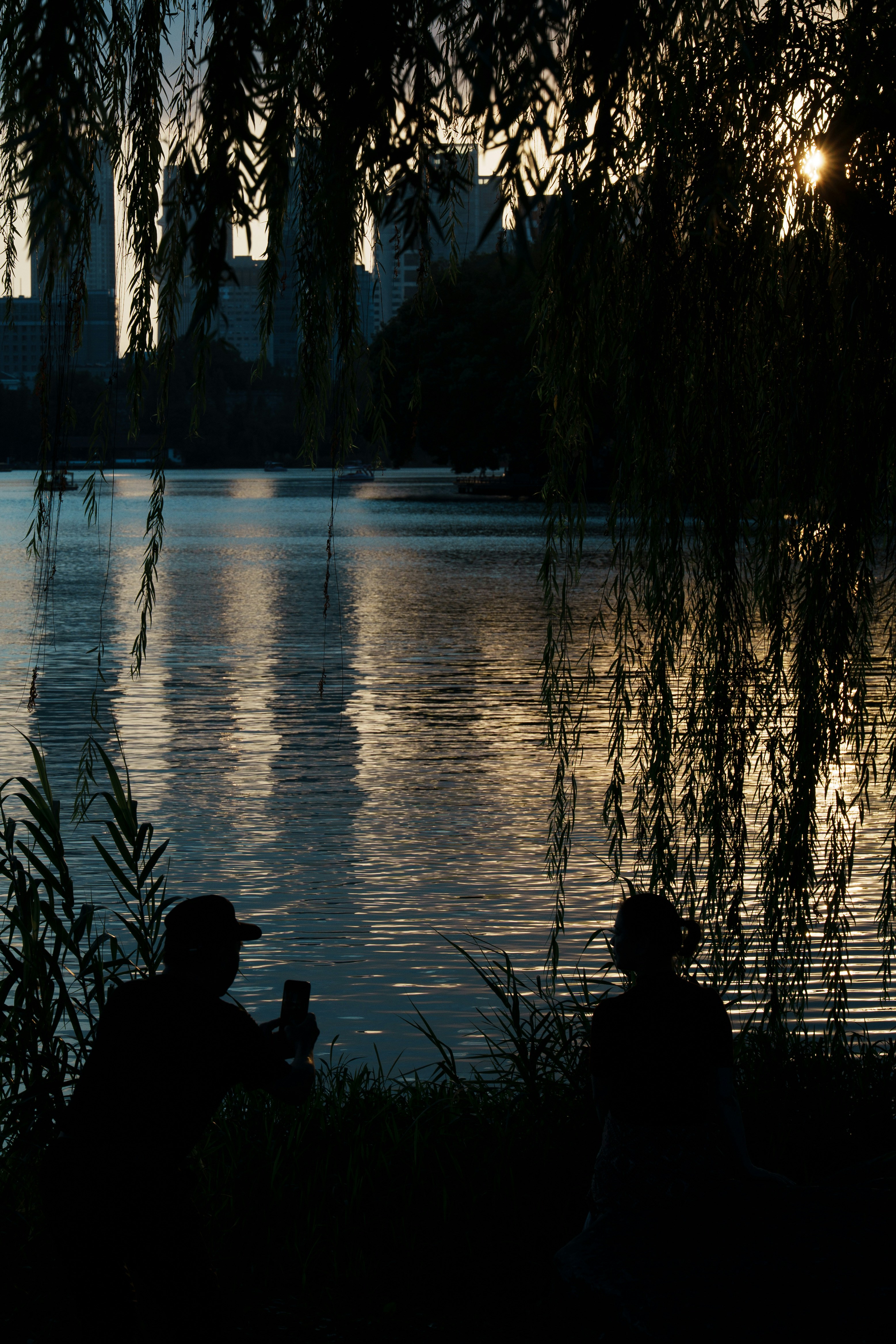 Dusk by the Quiet Shore: A Silhouette Conversation