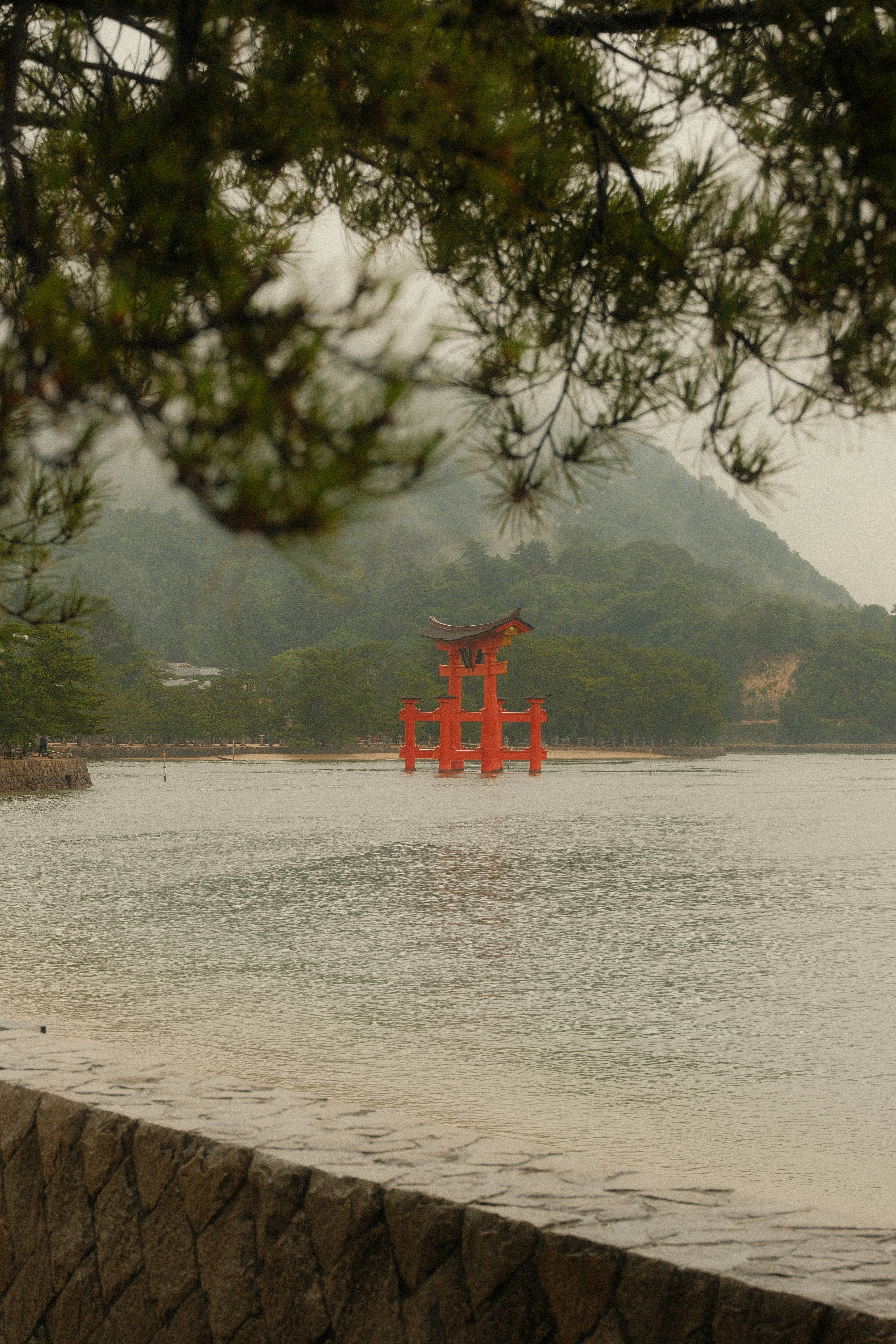 Red Torii Island: A Quiet Shrine Surrounded by Mist