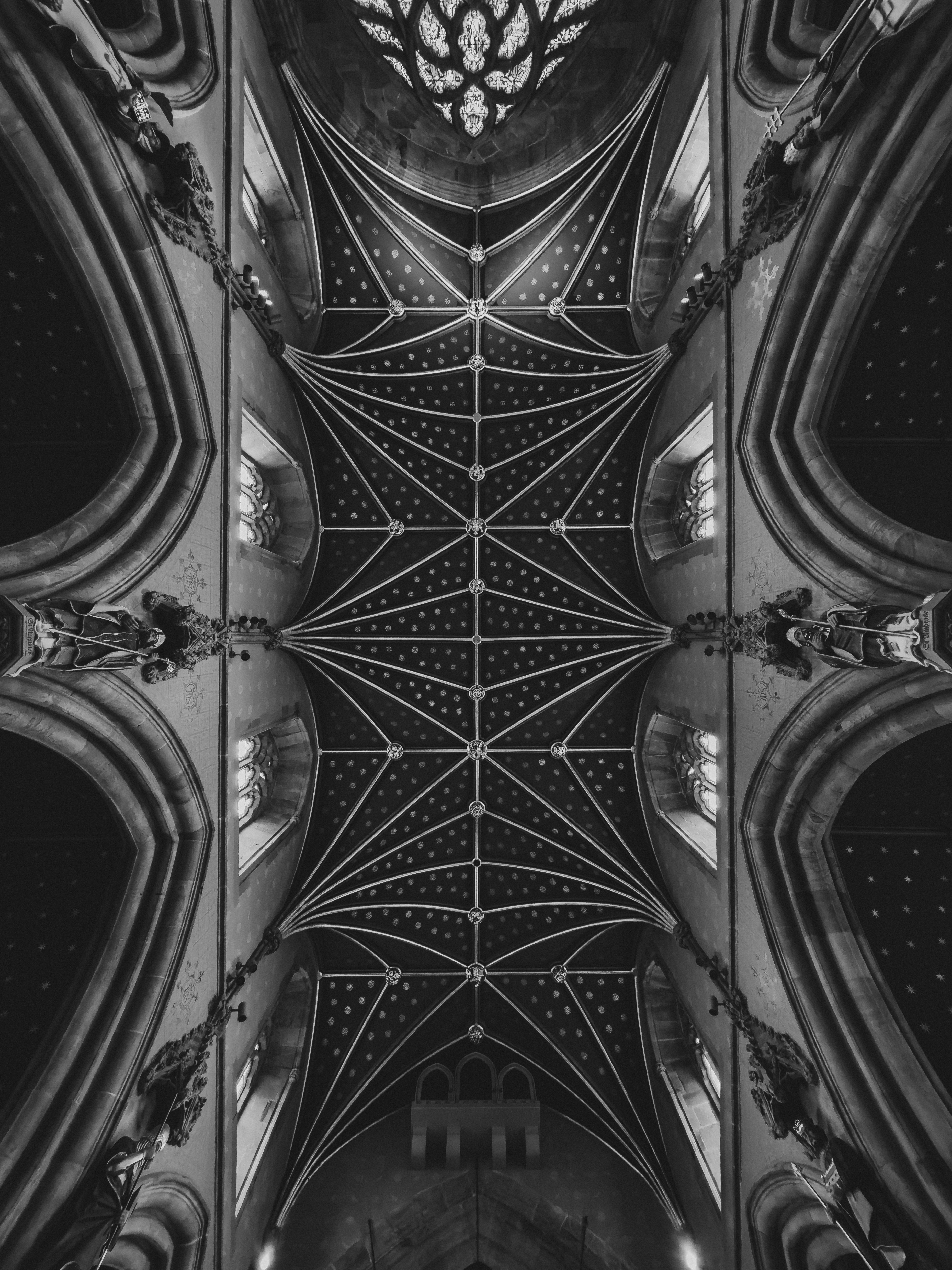 Vaulted Symmetry: Spiderweb Ceiling of a Gothic Hall