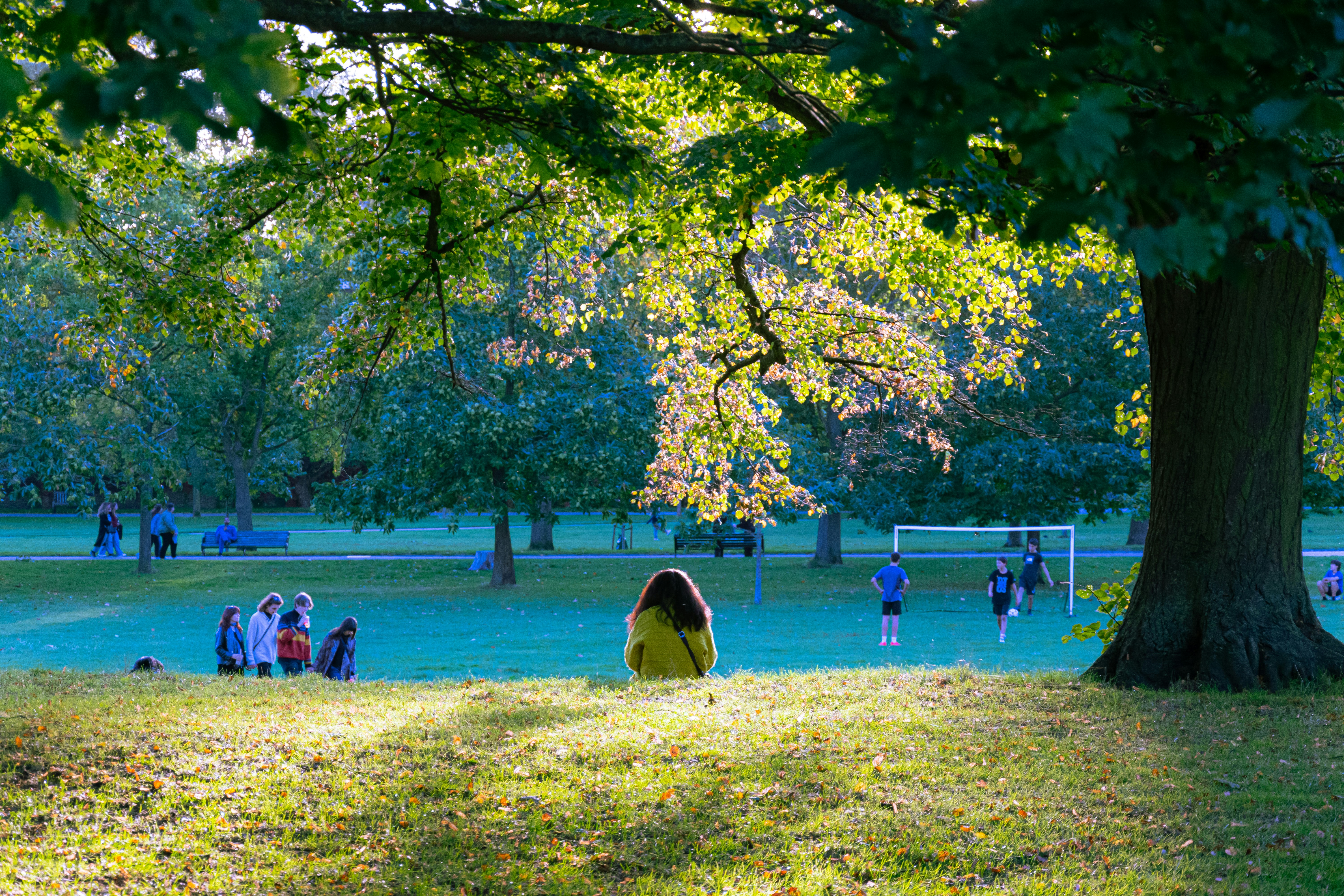 Sunlit Break in the Park: A Lone Figure at Center beneath a Shaded Tree