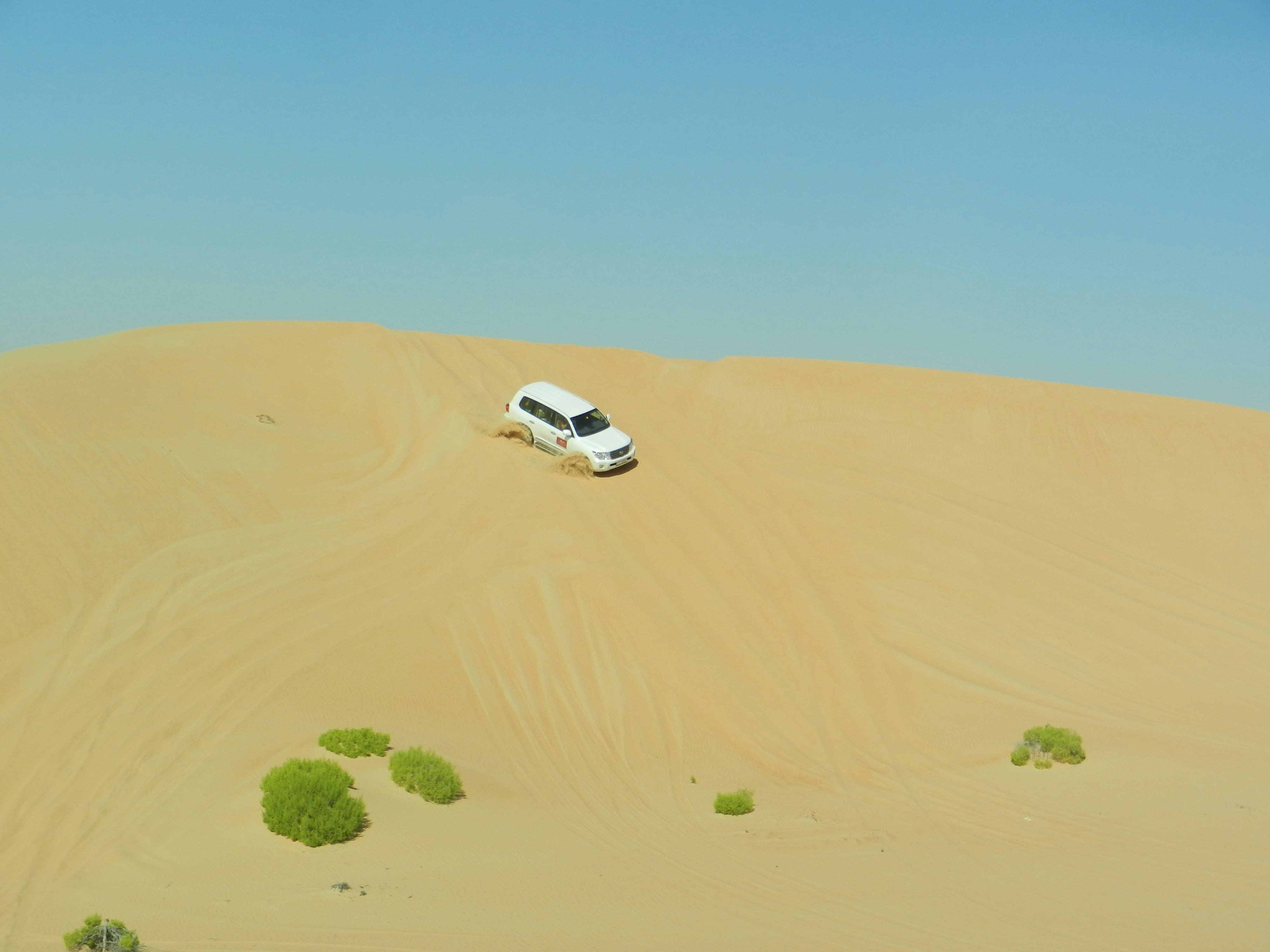 White SUV climbs a sunlit dune against a clear blue sky, with small clumps of green shrubs forming a sparse foreground.