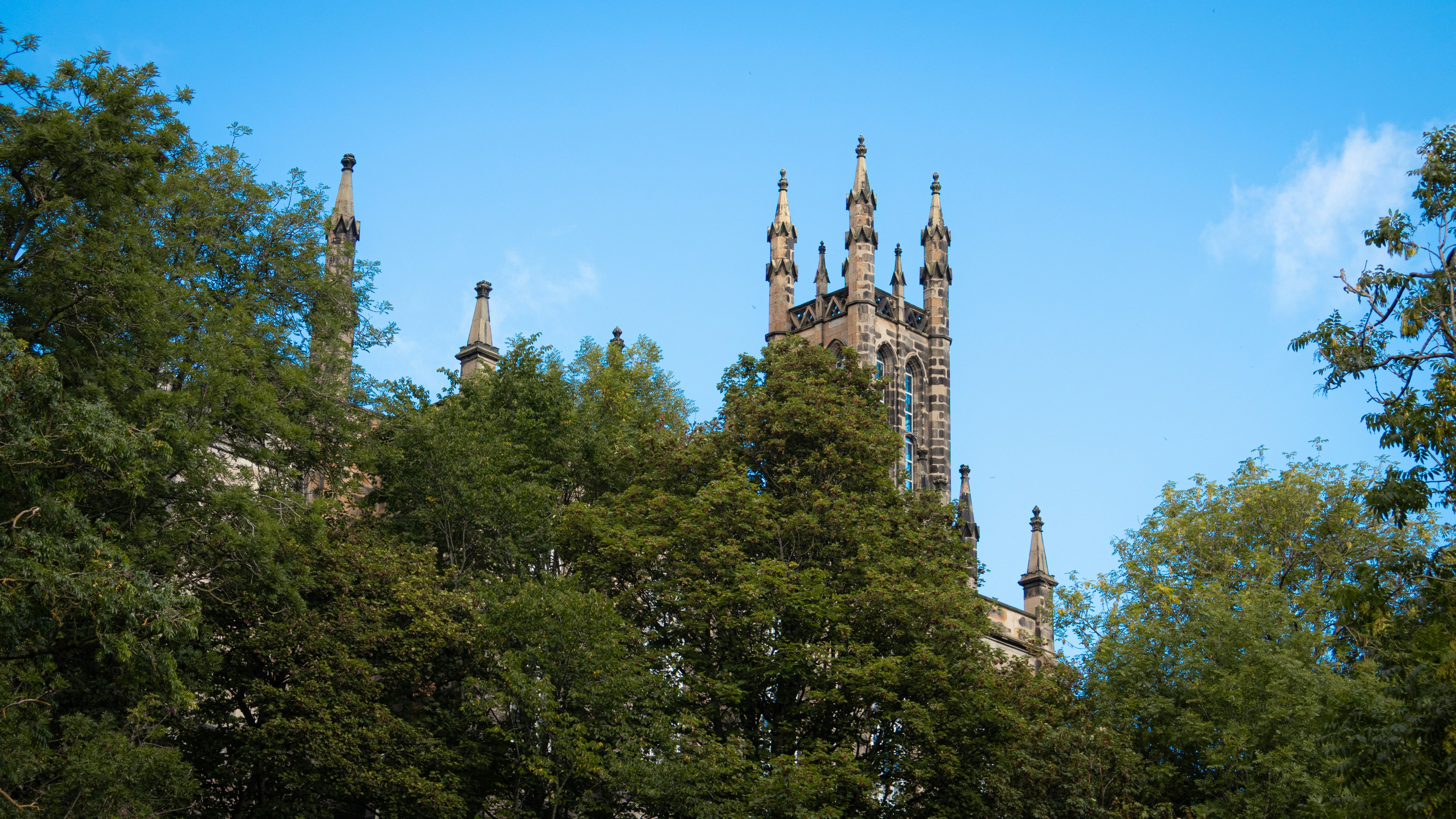 Gothic spires peeking through morning canopy
