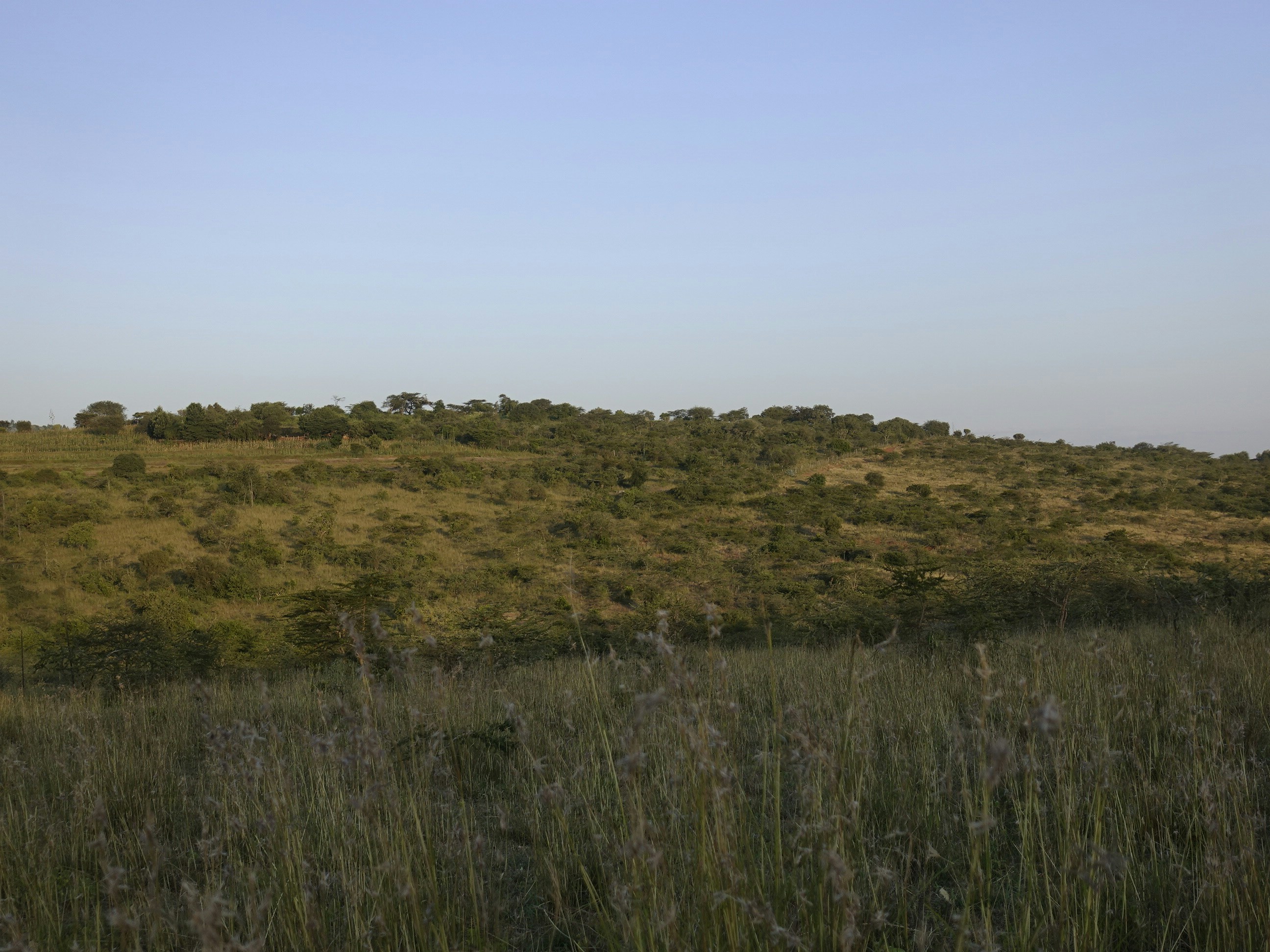 Photo by Gerrad Meitamei with Sony RX100 V
