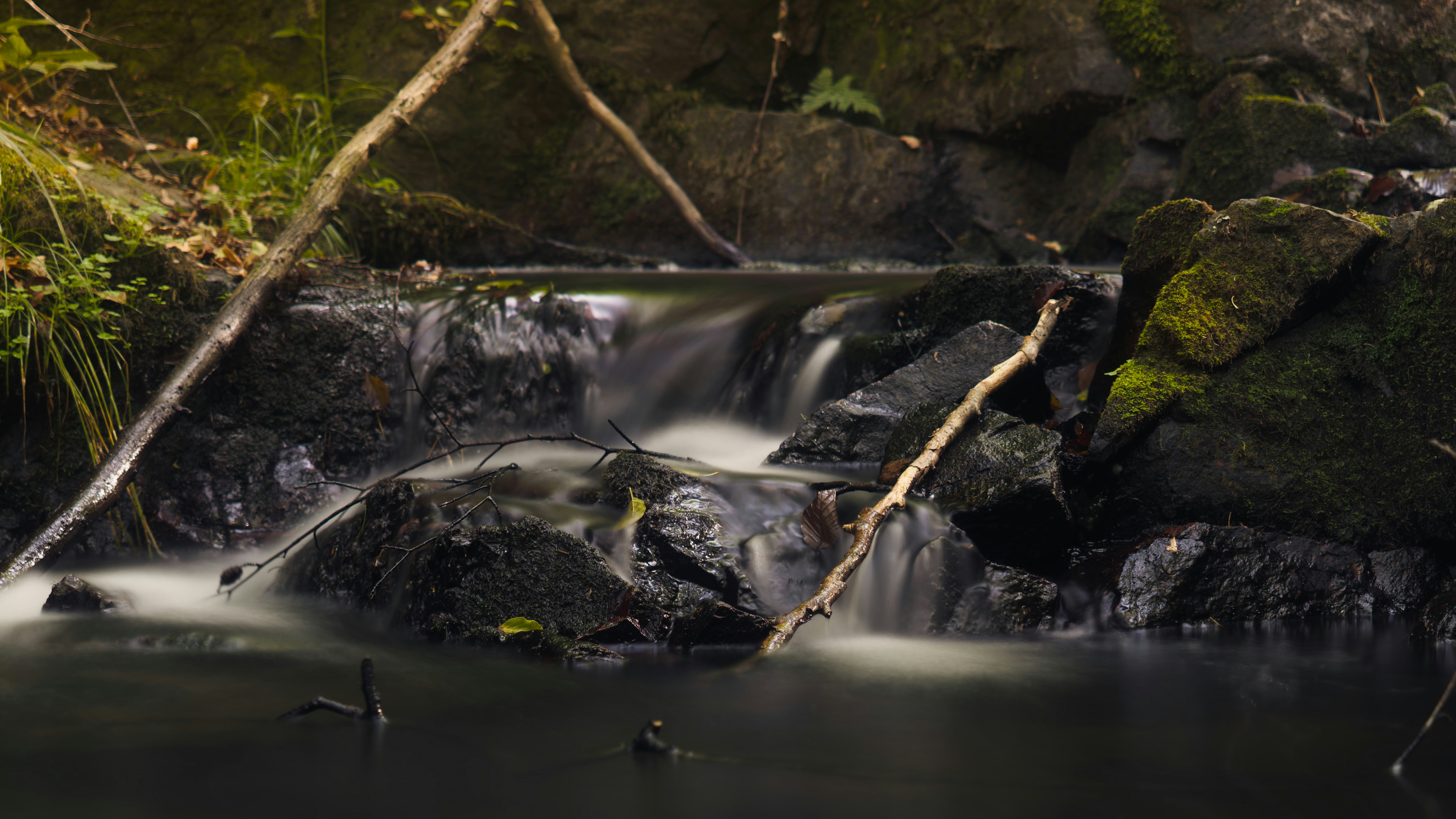 Midstream Quiet: A Mossy Cascades Study in Motion