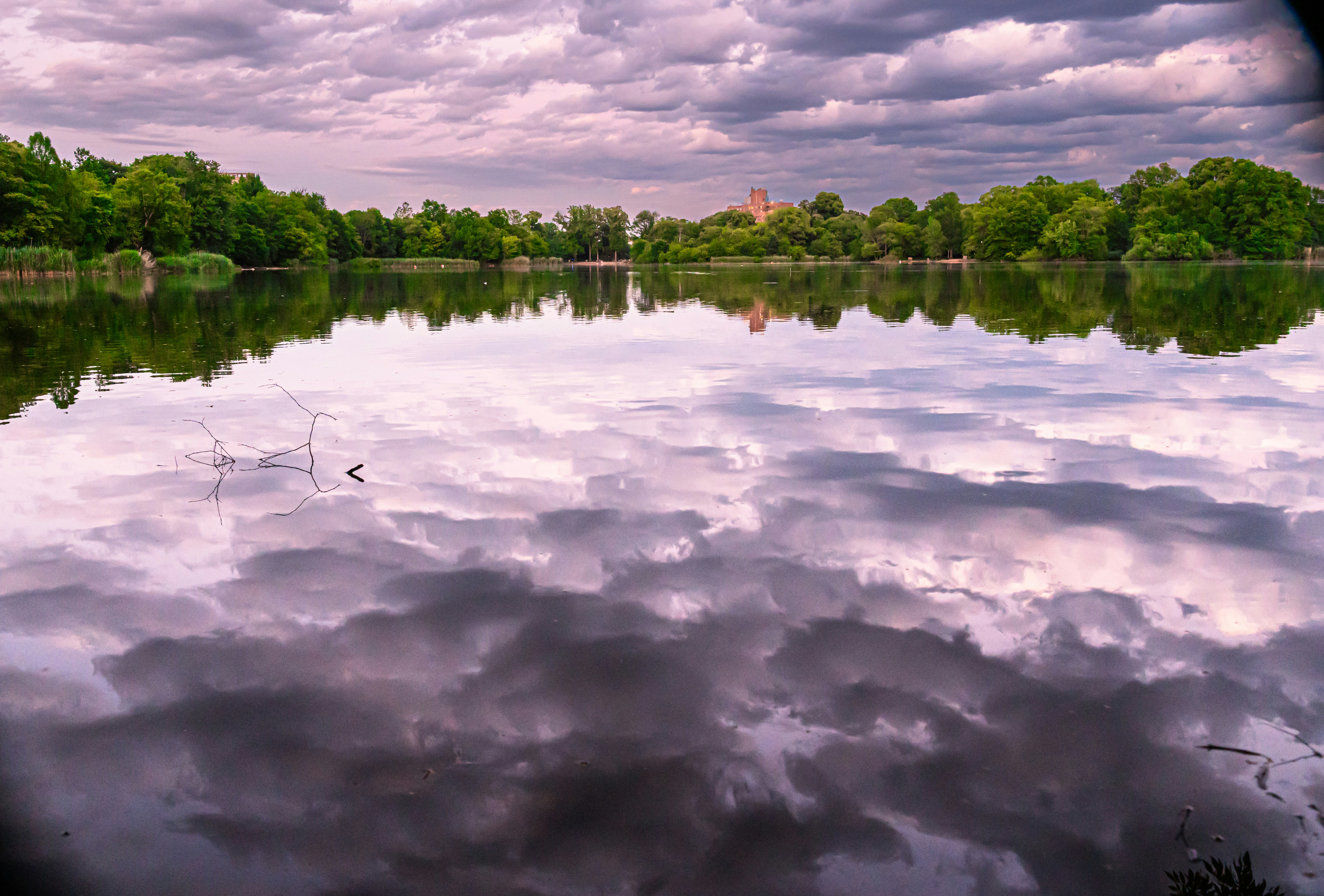 Mirror Lake at Dusk: Trees Receding into Velvet Skies